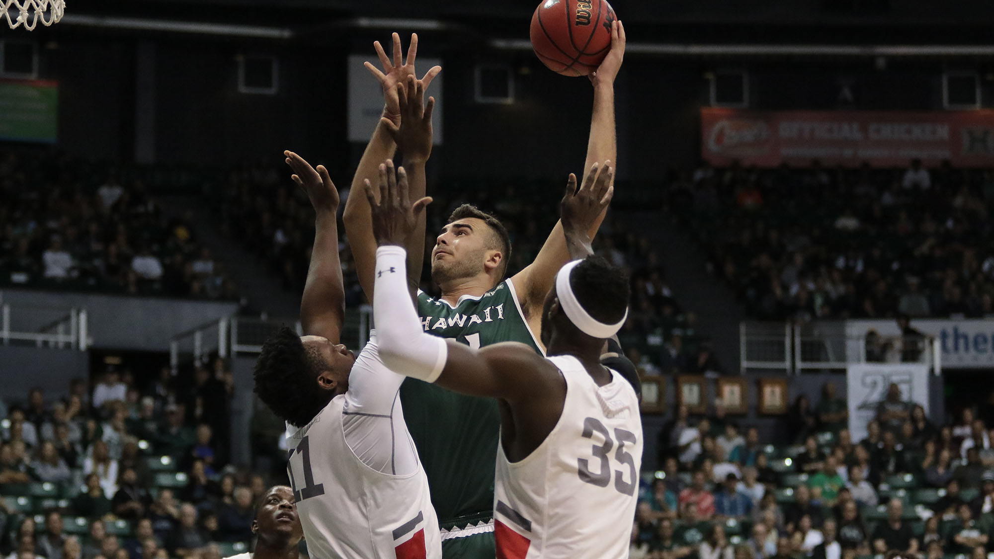 Mate Colina - Men's Basketball - University of Hawai'i at Manoa Athletics