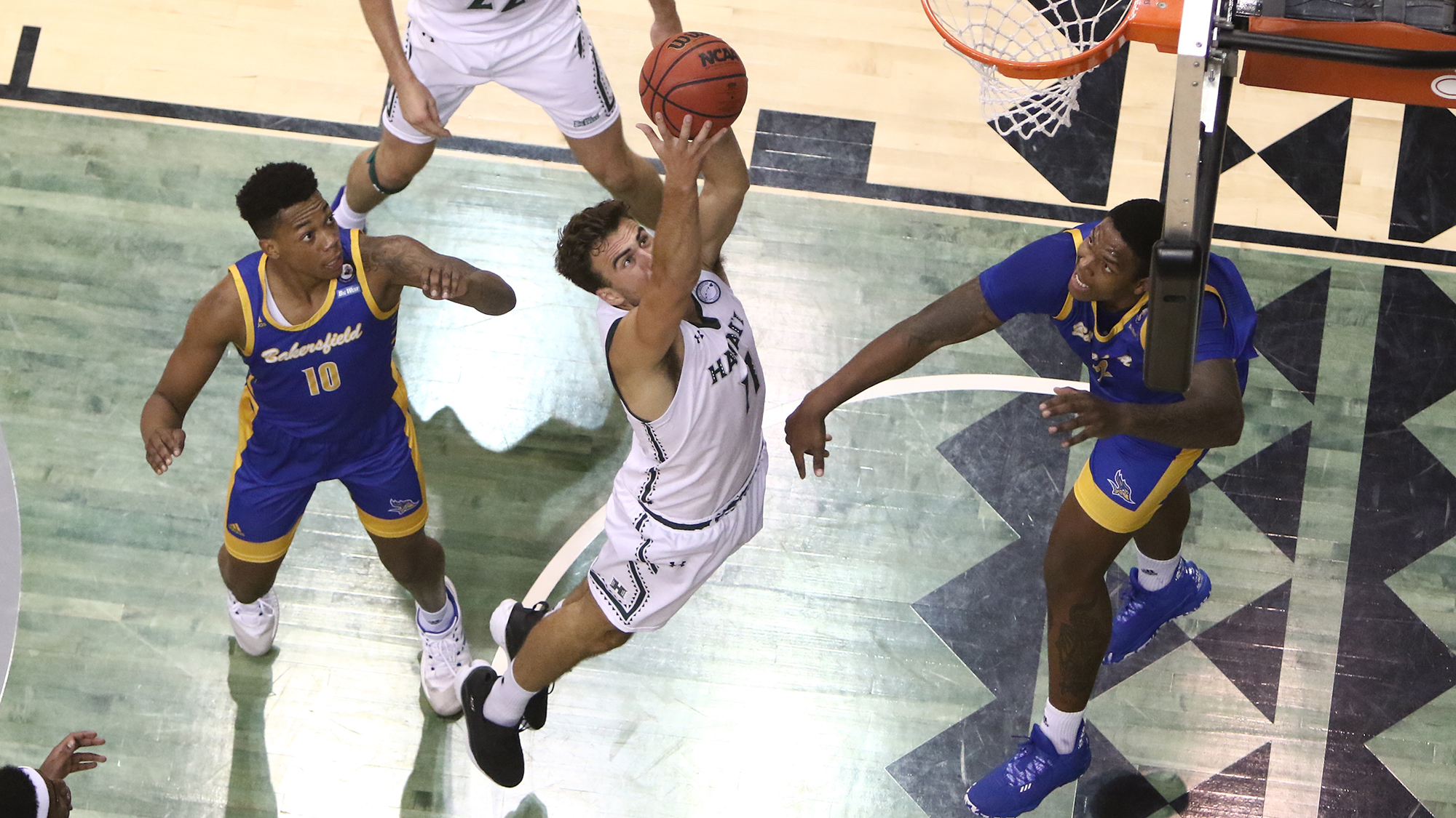 Mate Colina - Men's Basketball - University of Hawai'i at Manoa Athletics