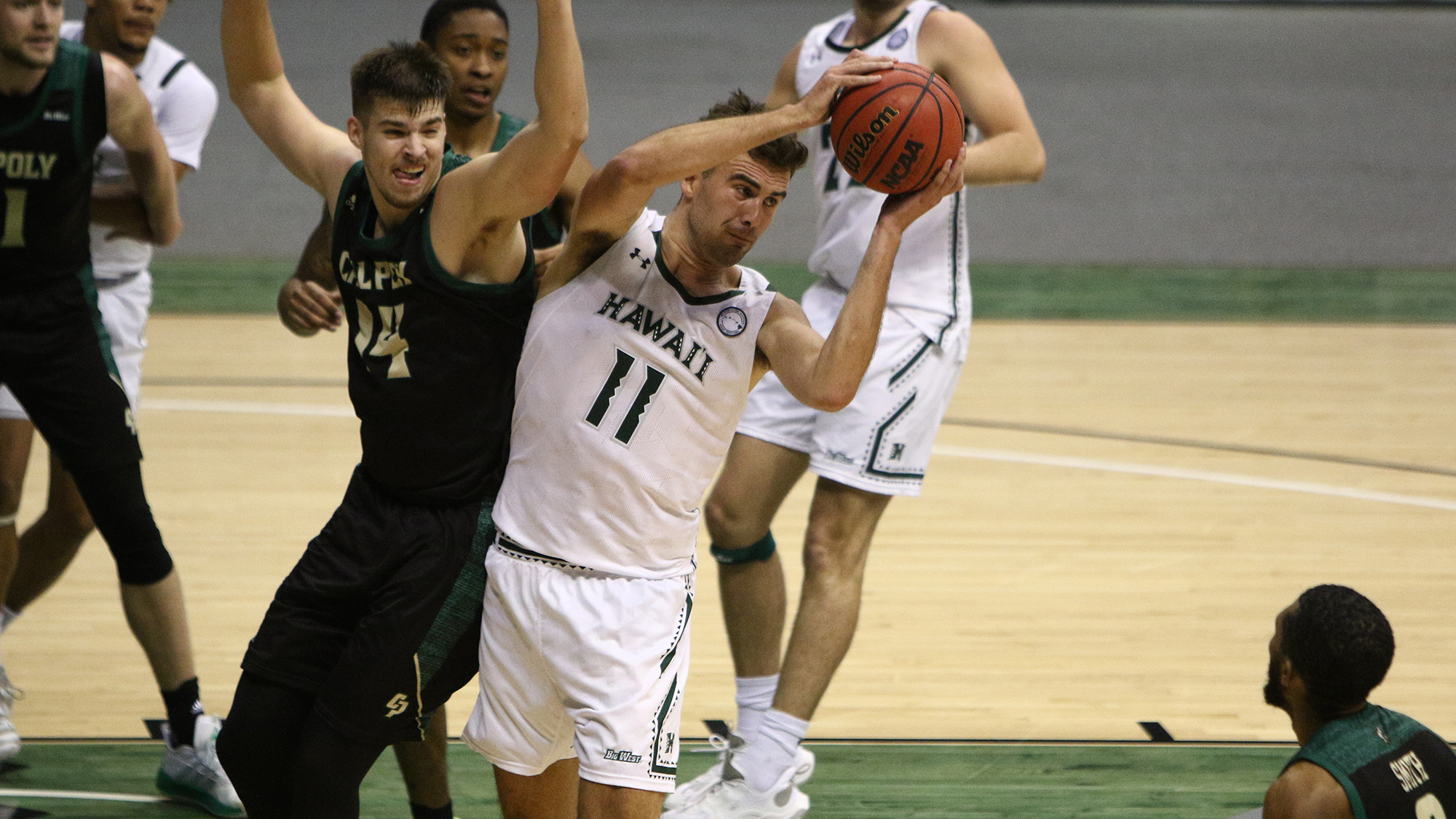 Mate Colina - Men's Basketball - University of Hawai'i at Manoa Athletics