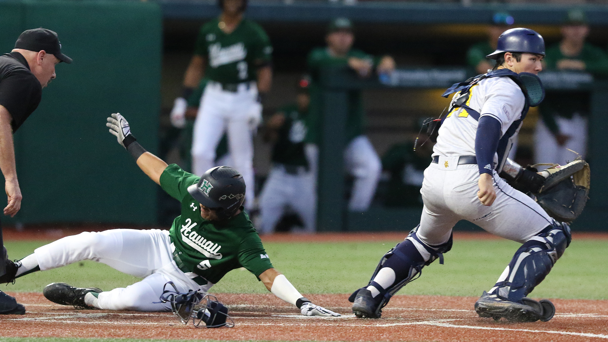 Aaron Ujimori - Baseball - University of Hawai'i at Manoa Athletics