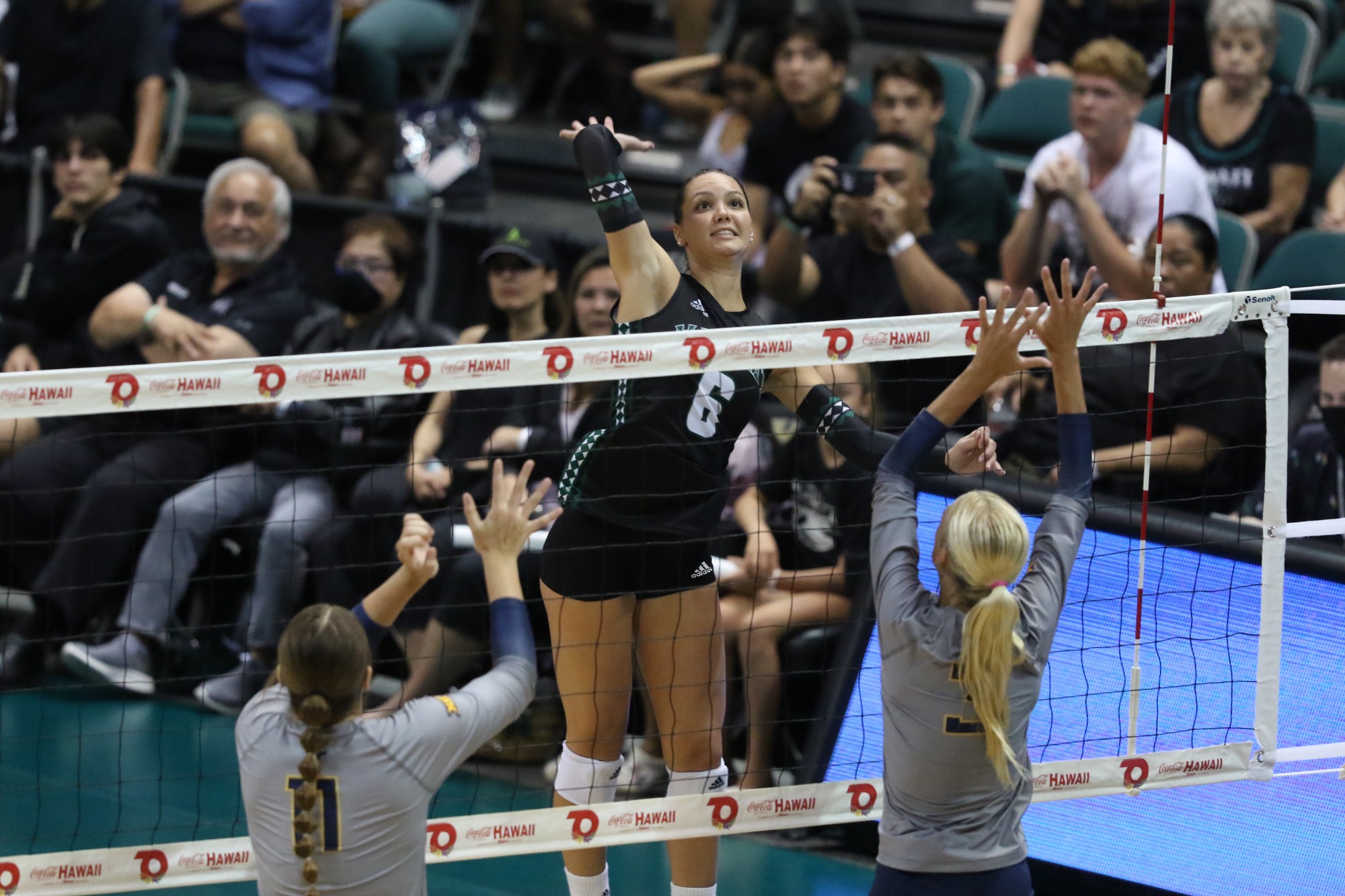 Riley Wagoner - Women's Volleyball - University of Hawai'i at Manoa ...