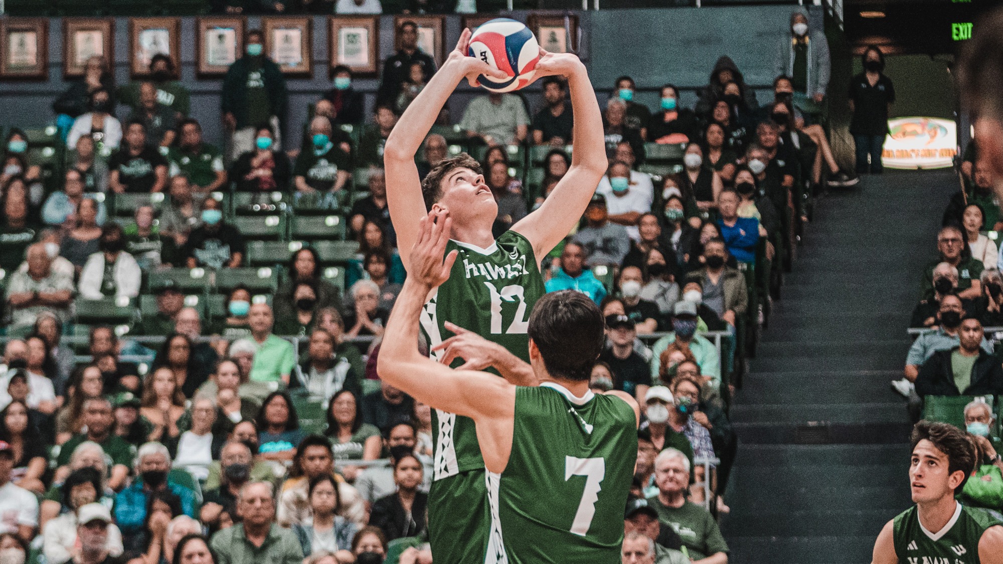 Austin Buchanan - Men's Volleyball - University of Hawai'i at Manoa ...