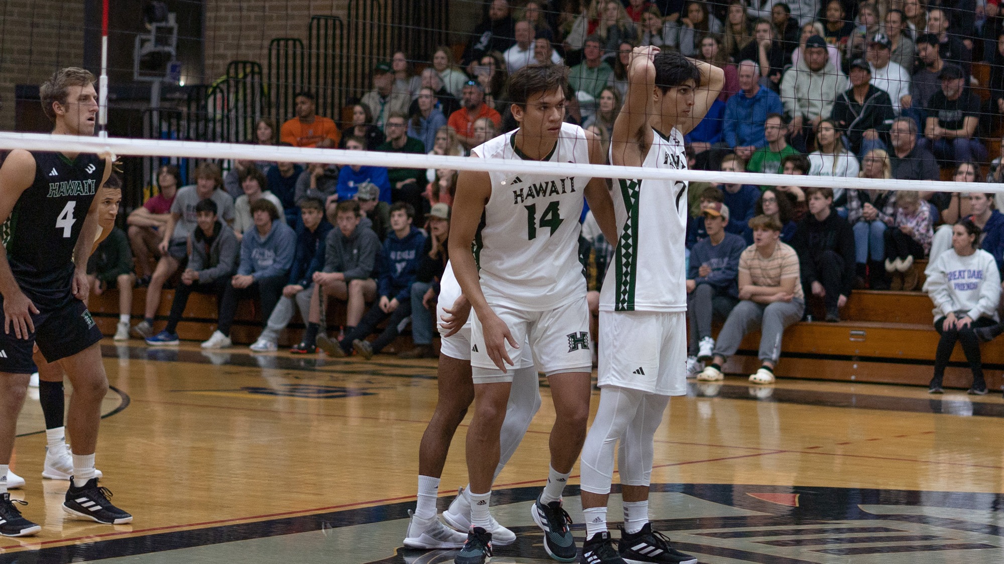 Alaka‘i Todd - Men's Volleyball - University of Hawai'i at Manoa Athletics