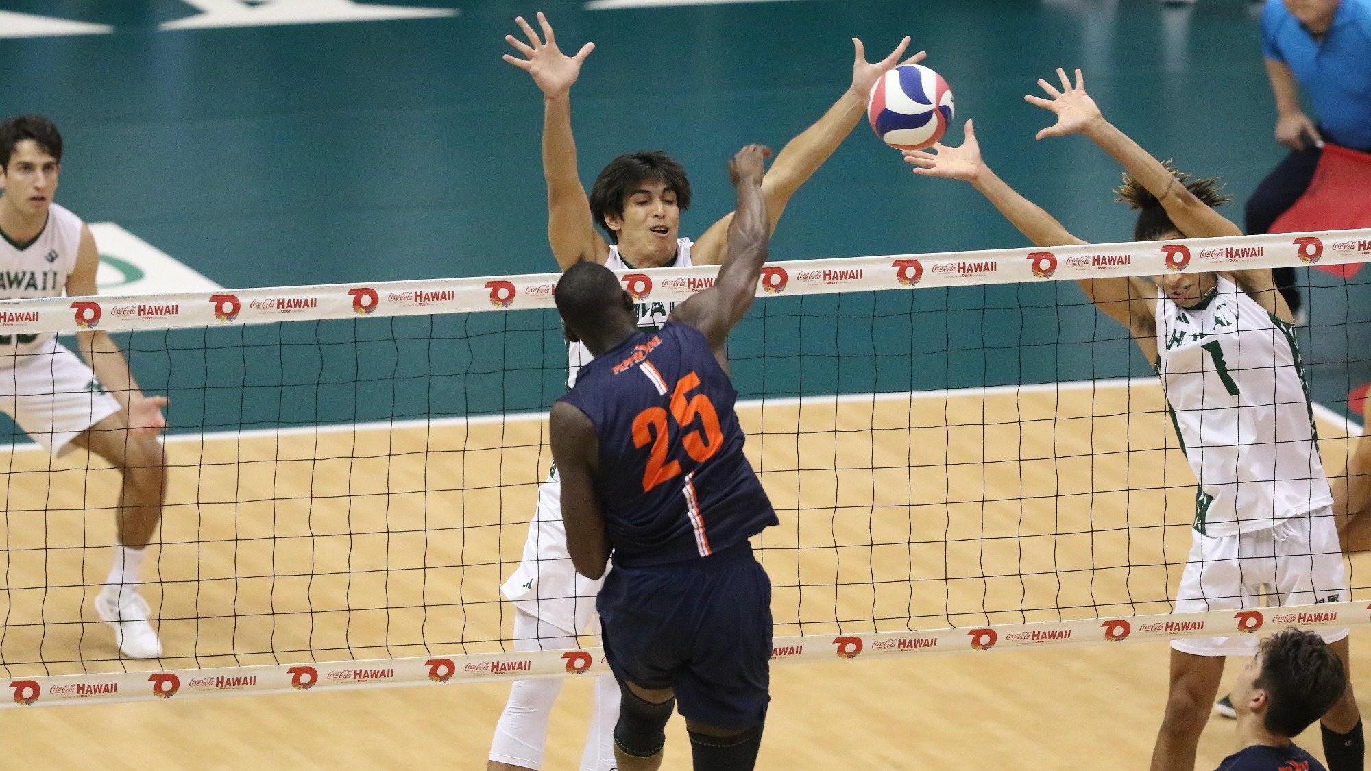 Cole Hogland - Men's Volleyball - University of Hawai'i at Manoa Athletics