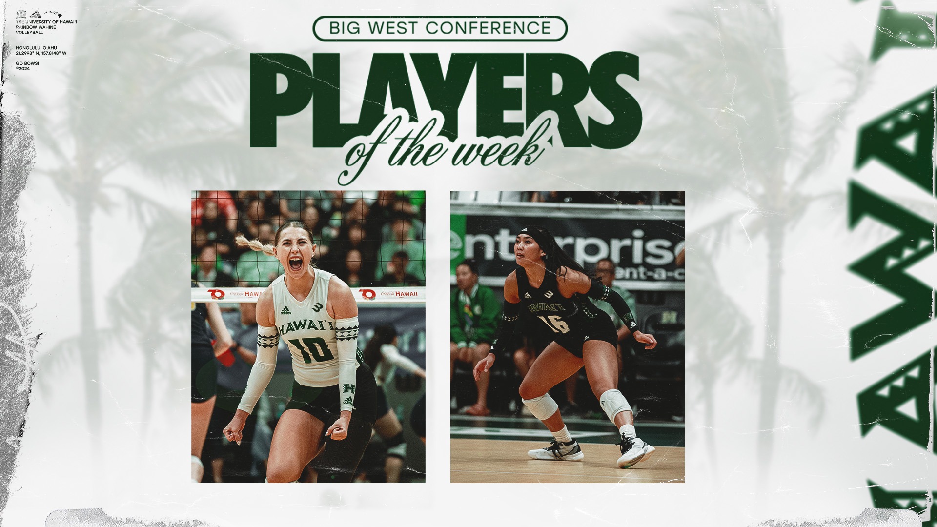 Big West Women's Volleyball Honors for Alexander, Lang - University of ...