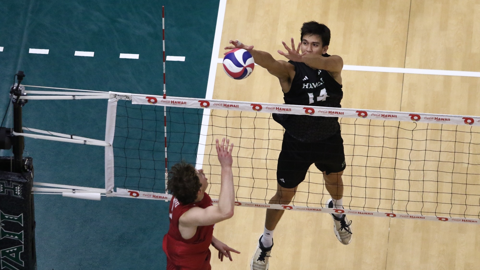 Todd Leads Men’s Volleyball To Four-Set Win Over Stanford - University ...