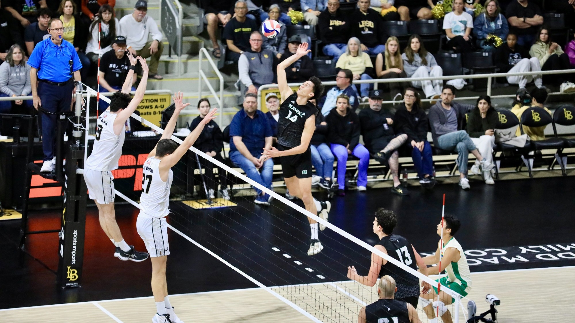 Men’s Volleyball Falls In Battle of Top Two Teams - University of Hawai ...