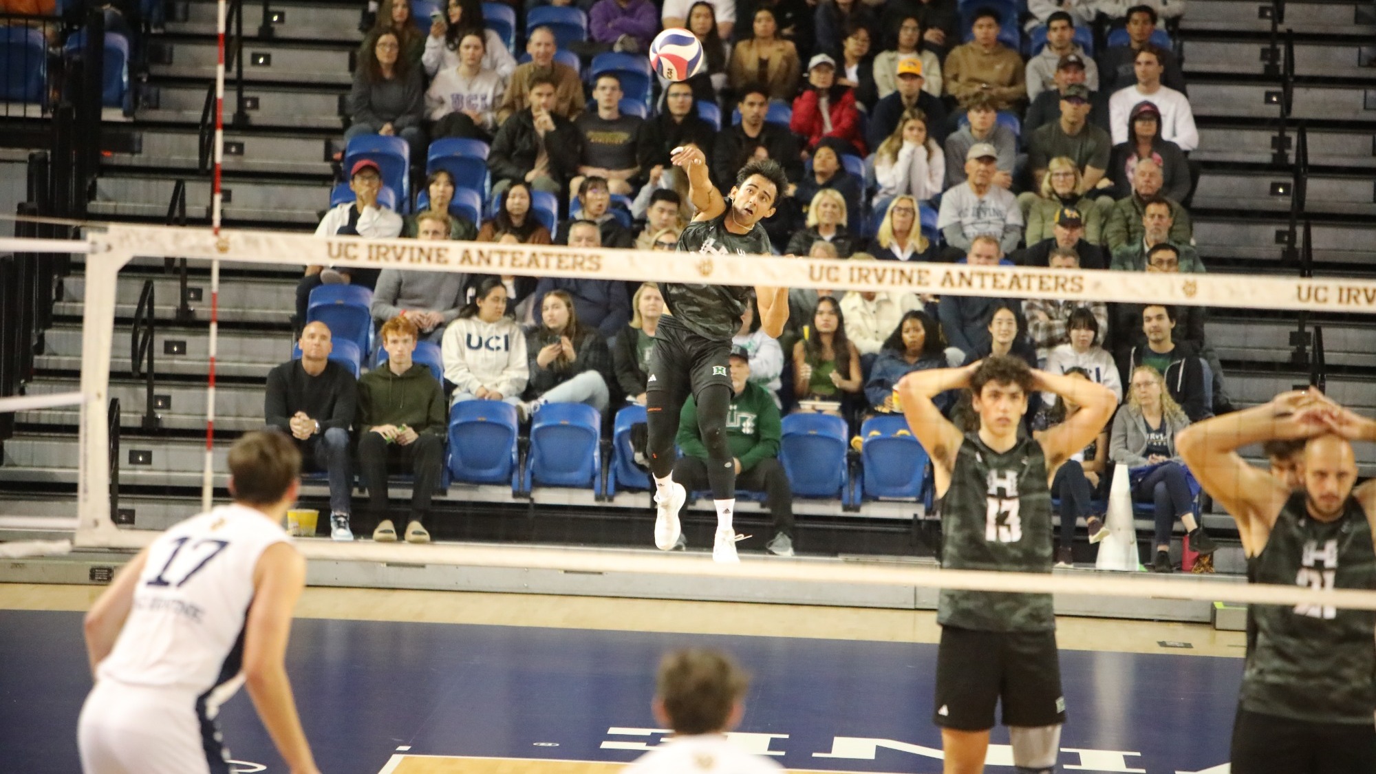 Keoni Thiim - Men's Volleyball - University of Hawai'i at Manoa Athletics