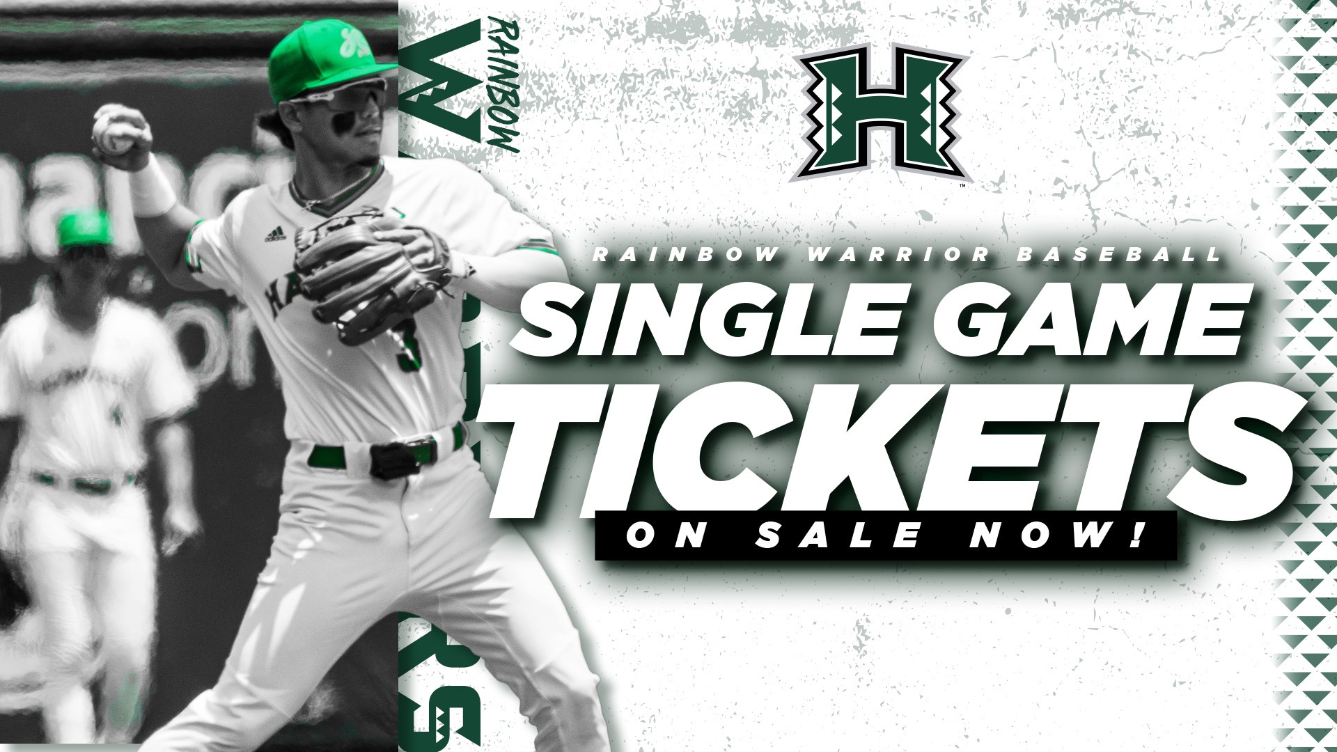 Don Robbs, the “Voice of Rainbow Baseball”, Passes Away - University of ...