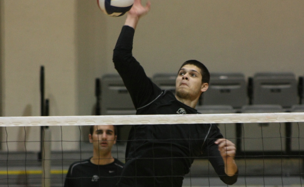 Steven Battaglia - Men's Volleyball - Quincy University Athletics