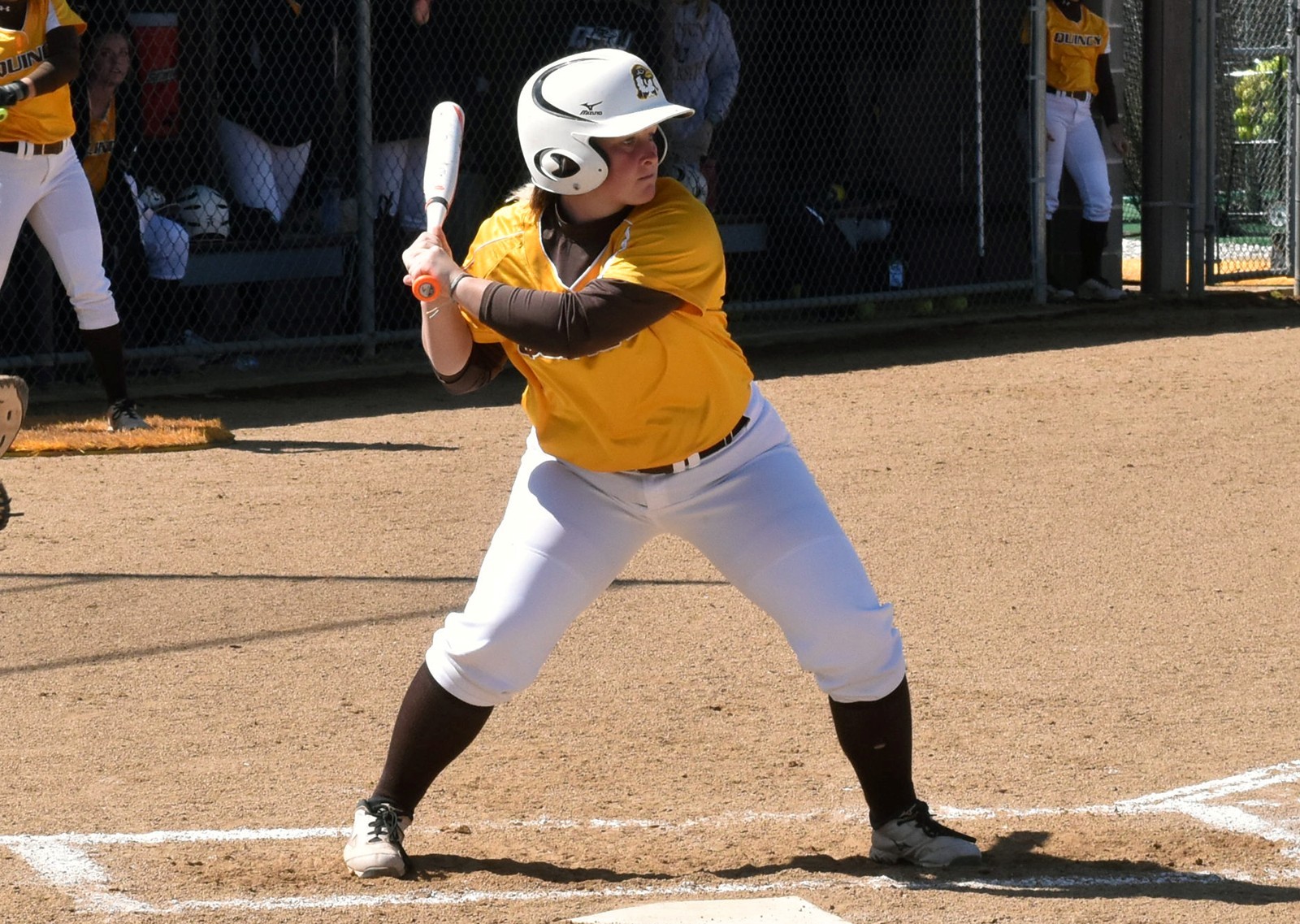 Samantha Ledbetter - Softball - Quincy University Athletics
