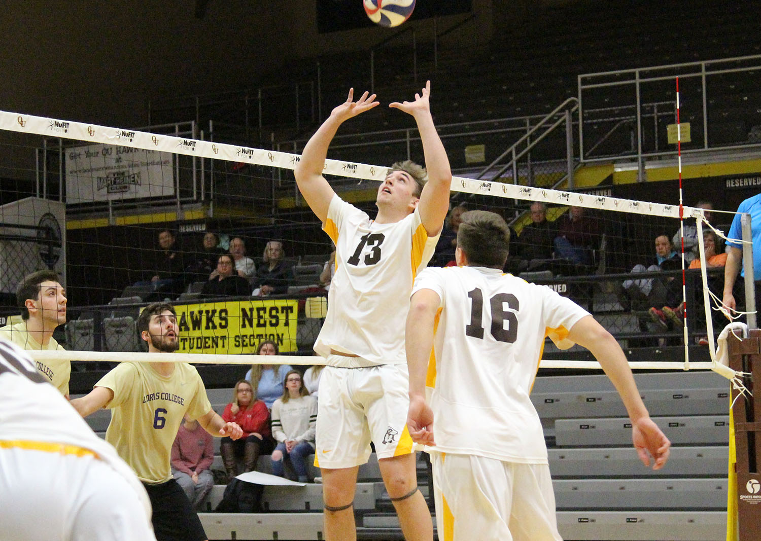 Noah Randall - Men's Volleyball - Quincy University Athletics