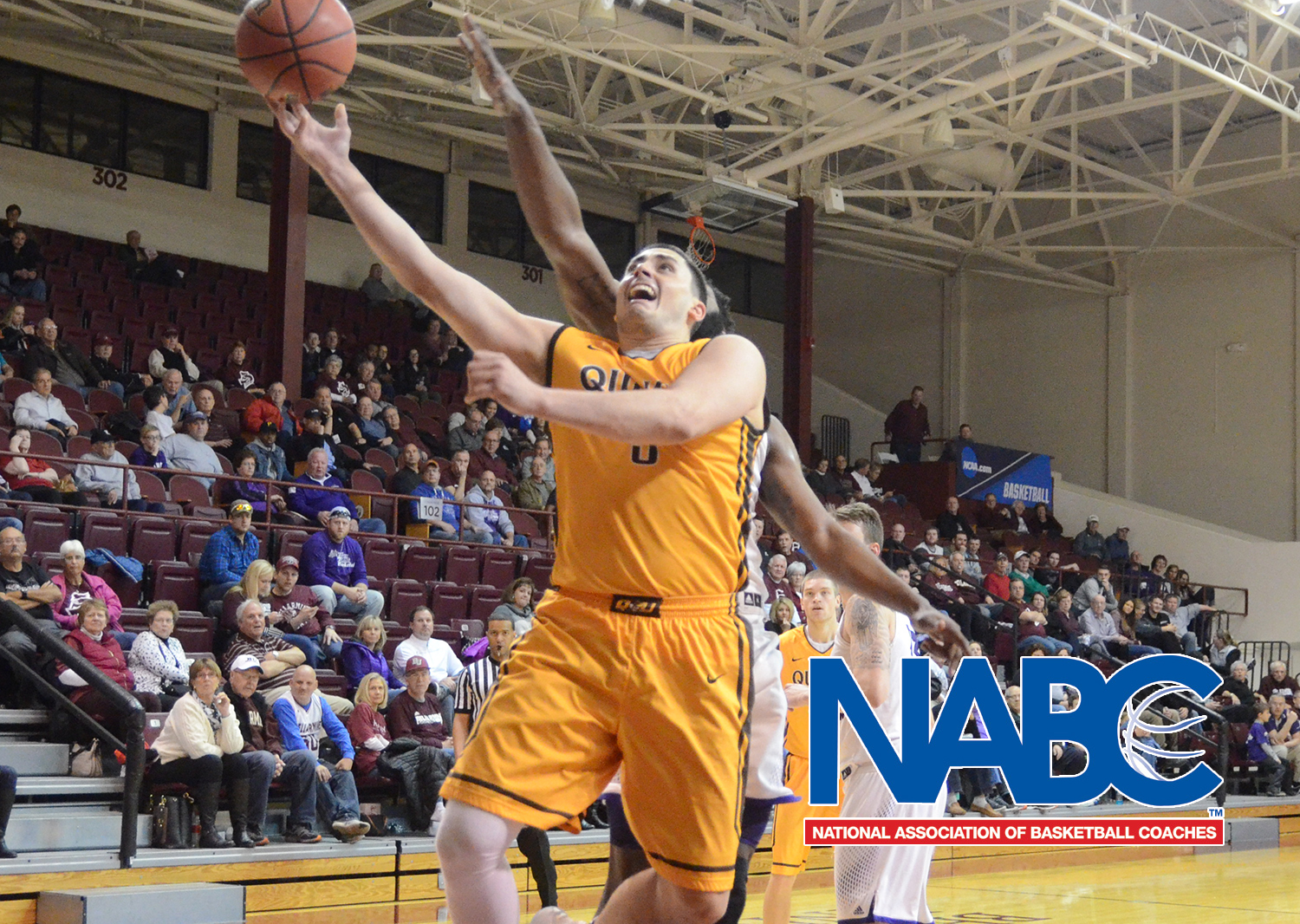 Joseph Tagarelli - Men's Basketball - Quincy University Athletics