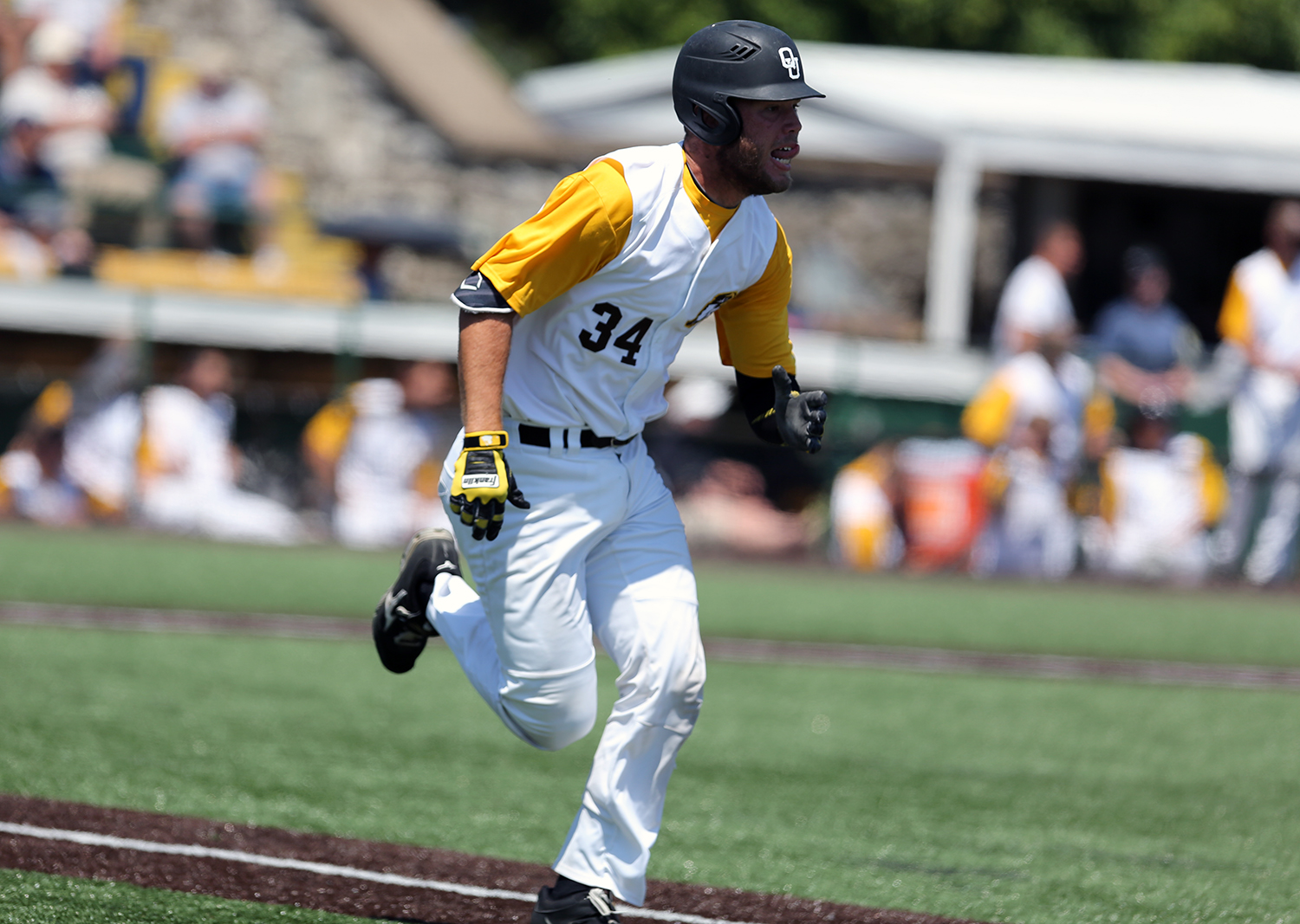 Troy Wehde - Baseball - Quincy University Athletics