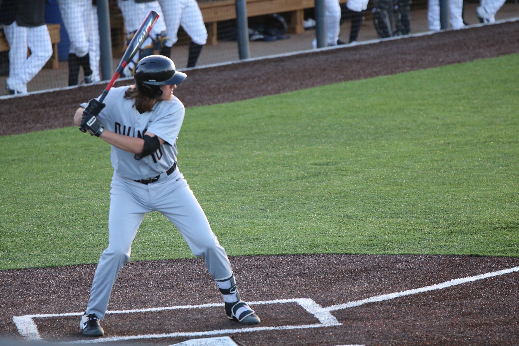 Gino D'Alessio - Baseball - Quincy University Athletics