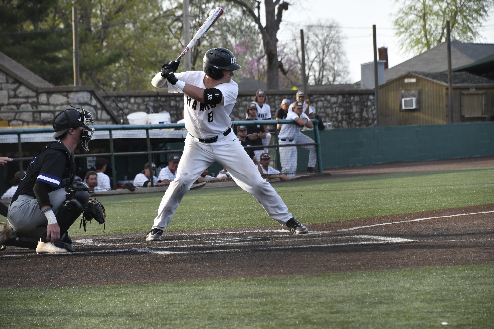 Luke Napleton - Baseball - Quincy University Athletics