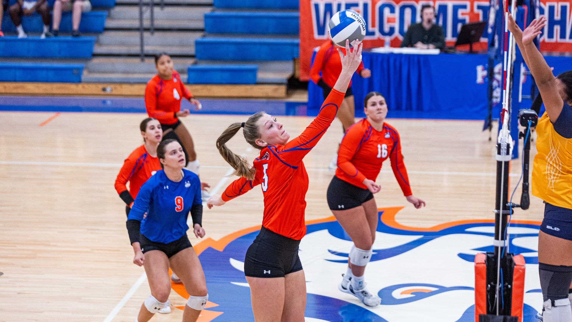 Lexie Temple - Women's Volleyball - Houston Christian University Athletics