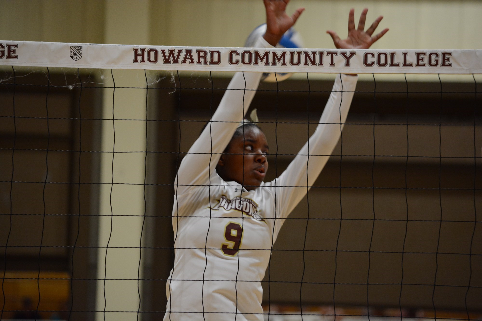 Elizabeth Quintin - 2018 - Women's Volleyball - Howard Community ...