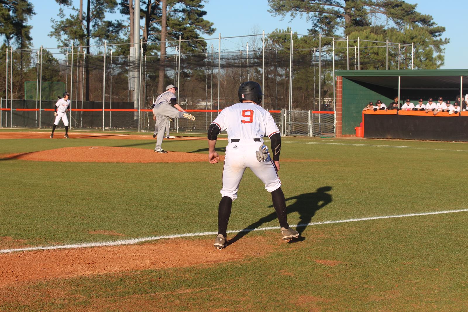 Ford Sherrington - 2020 - Baseball - Hendrix College Athletics