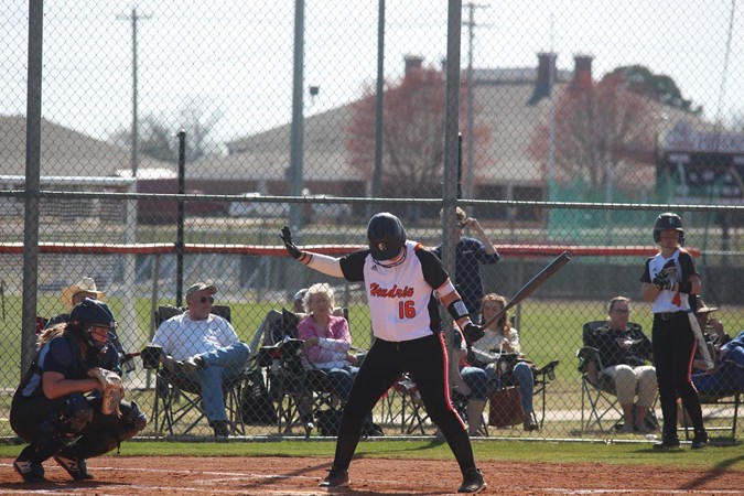 Taylor Oglesby - 2020 - Softball - Hendrix College Athletics