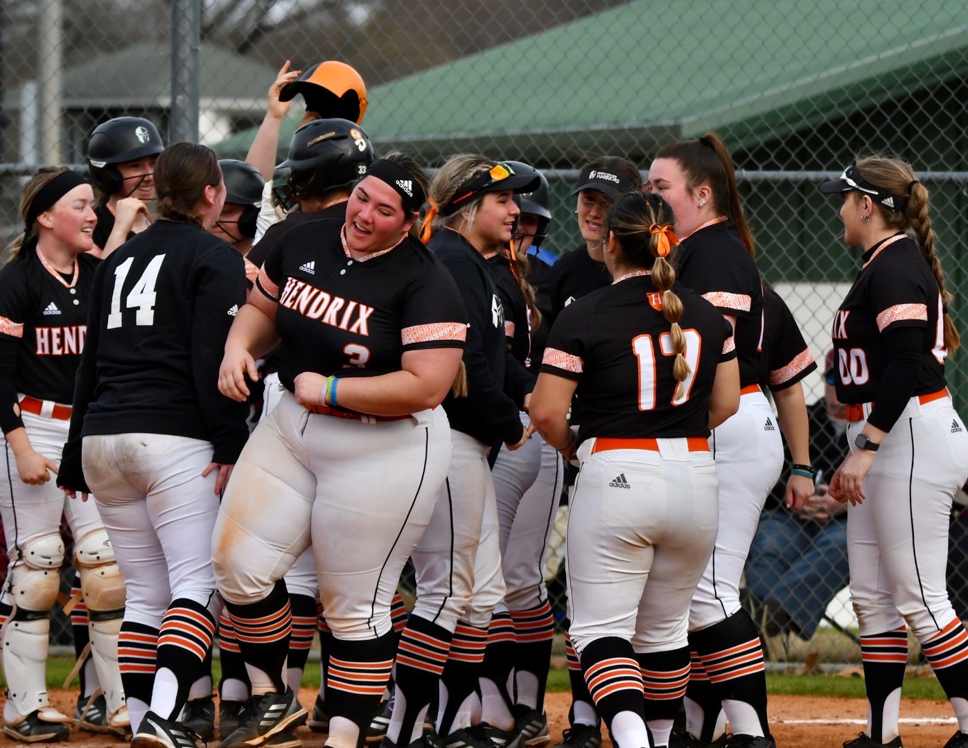 Warriors Plate Four in All-SAA Awards List - Hendrix College Athletics