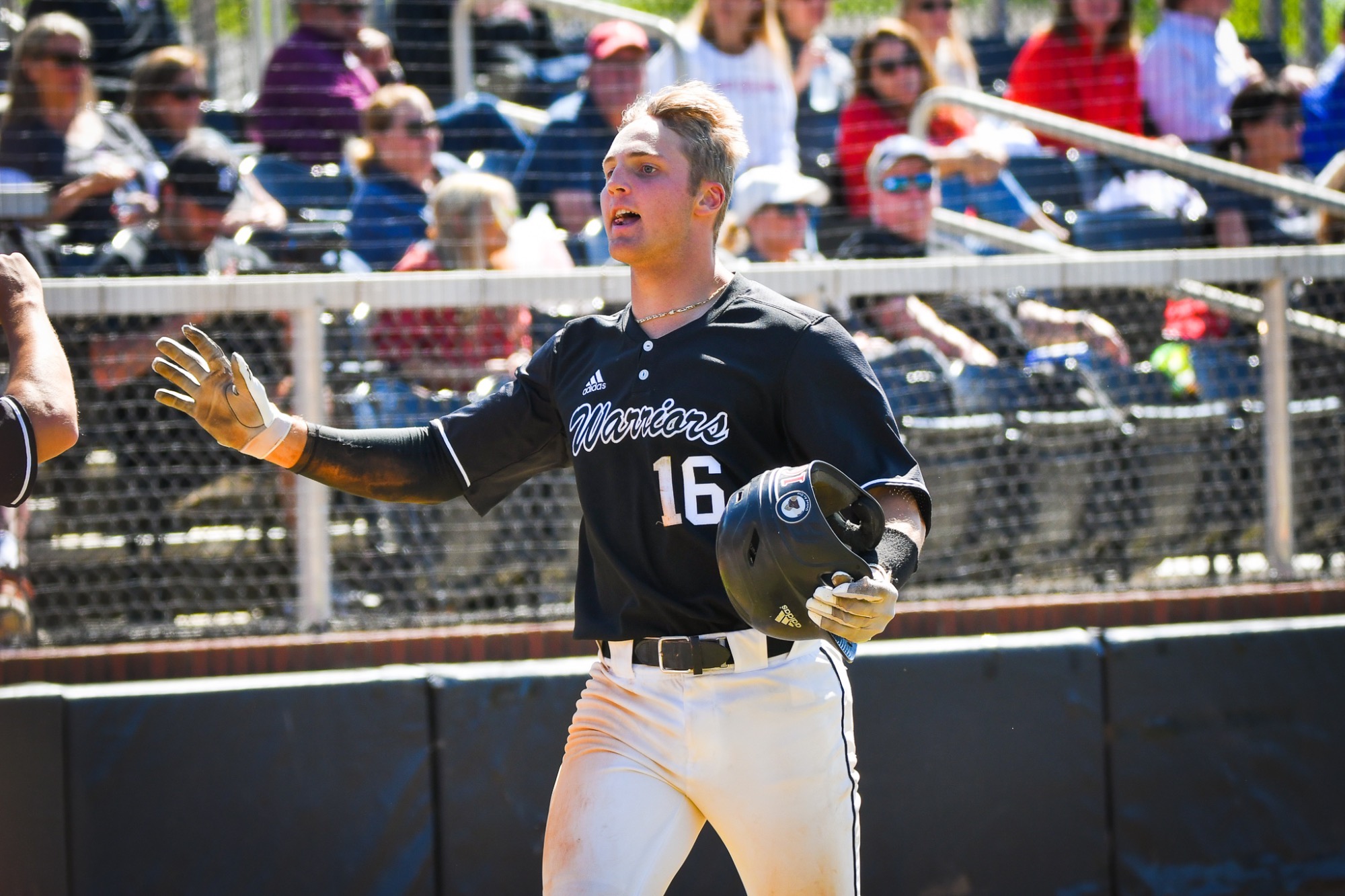 Zach Marriott - 2024 - Baseball - Hendrix College Athletics