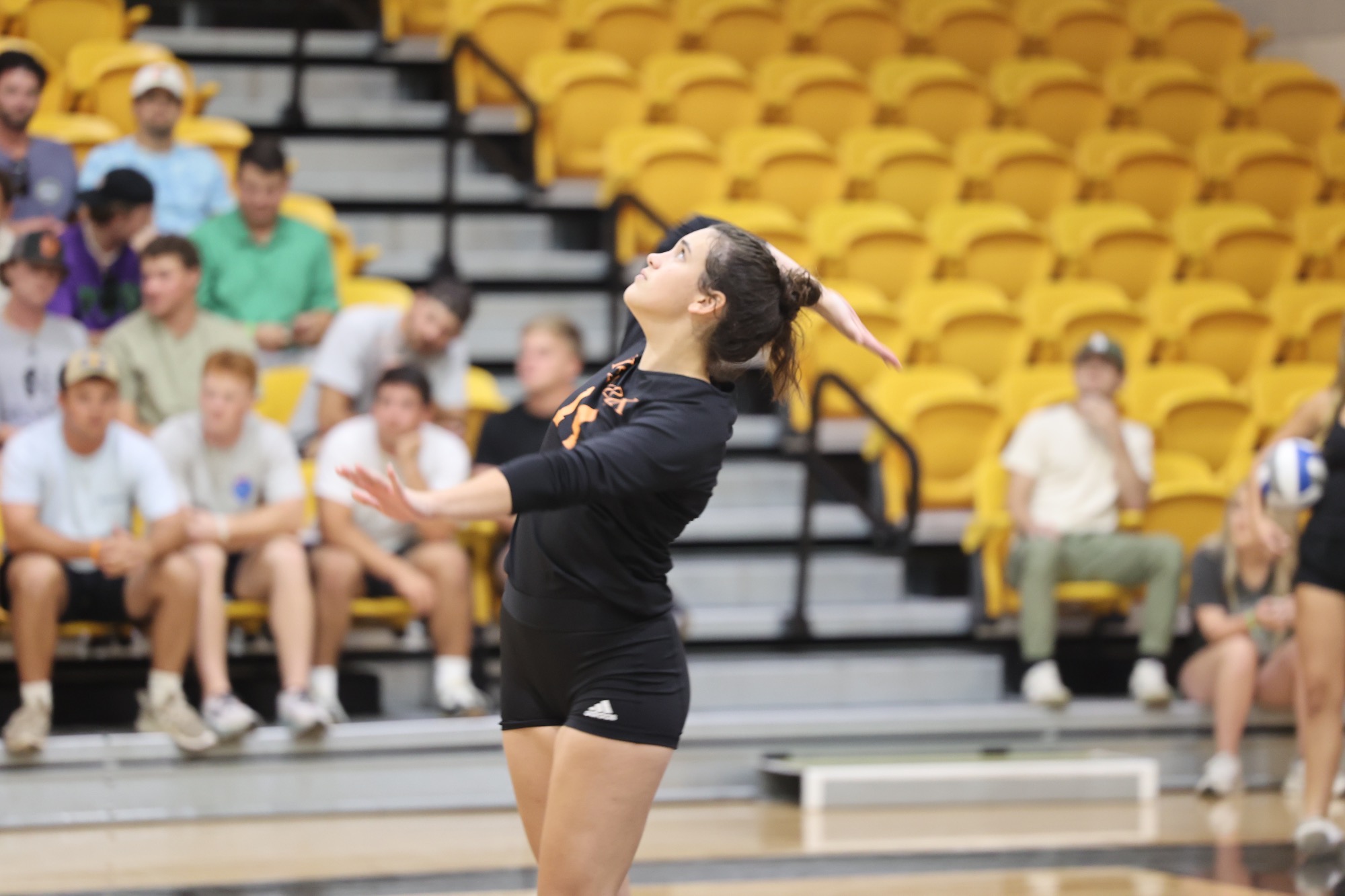 Peyton Refling - 2023 - Volleyball - Hendrix College Athletics