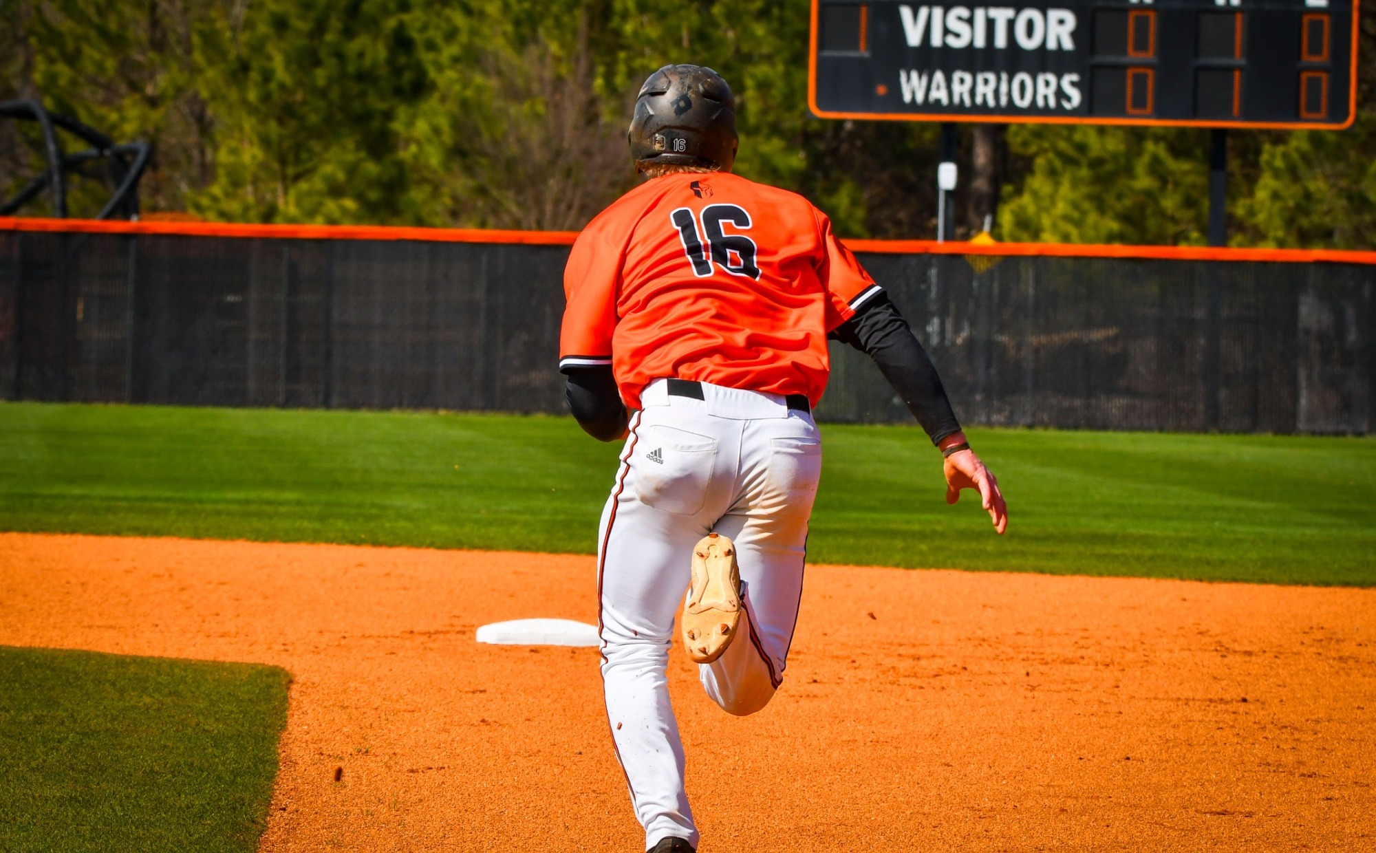 Zach Marriott - 2024 - Baseball - Hendrix College Athletics