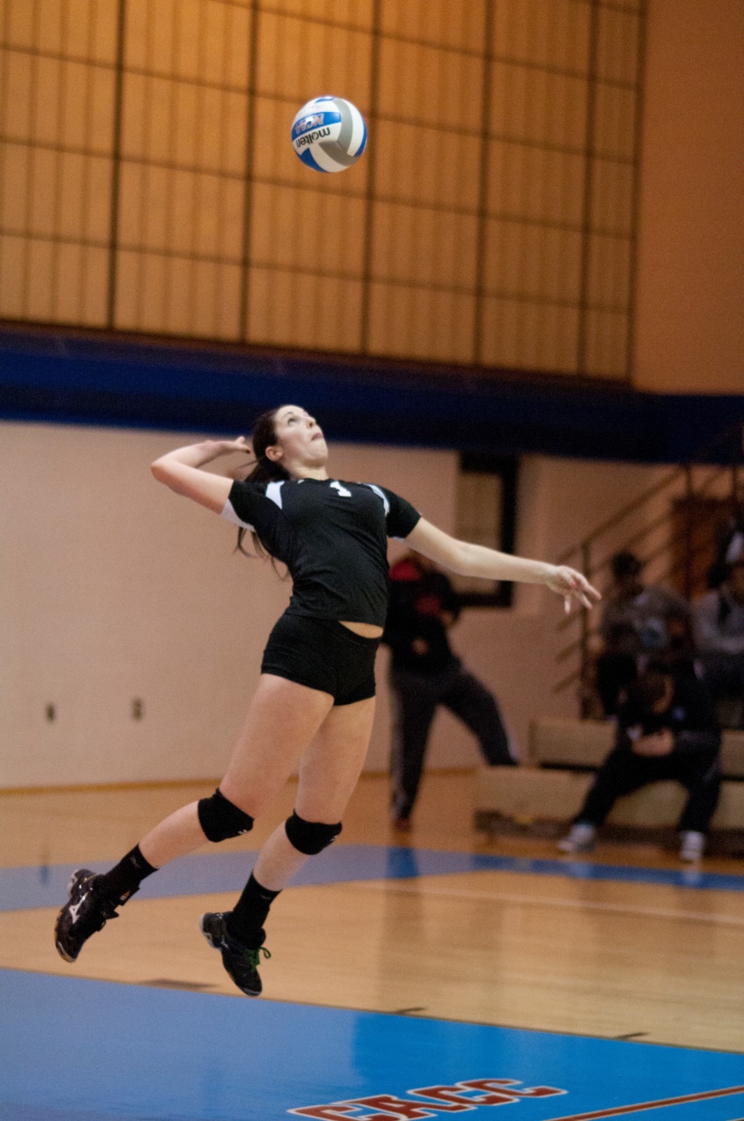 Emma Herring - Women's Volleyball - Holy Family University Athletics