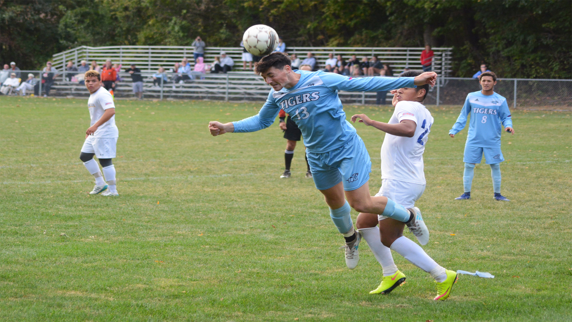 Mike Smith - Men's Soccer - Holy Family University Athletics