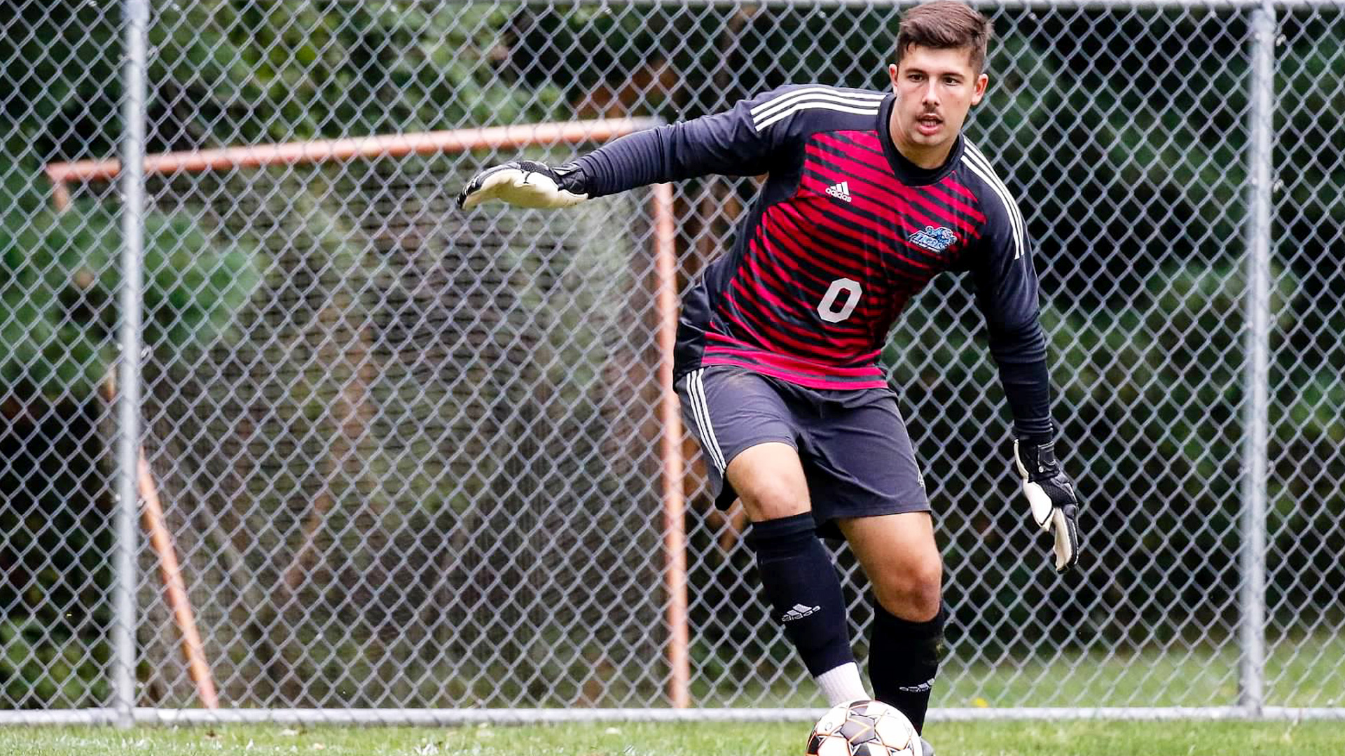 Mark Tobin - Men's Soccer - Holy Family University Athletics