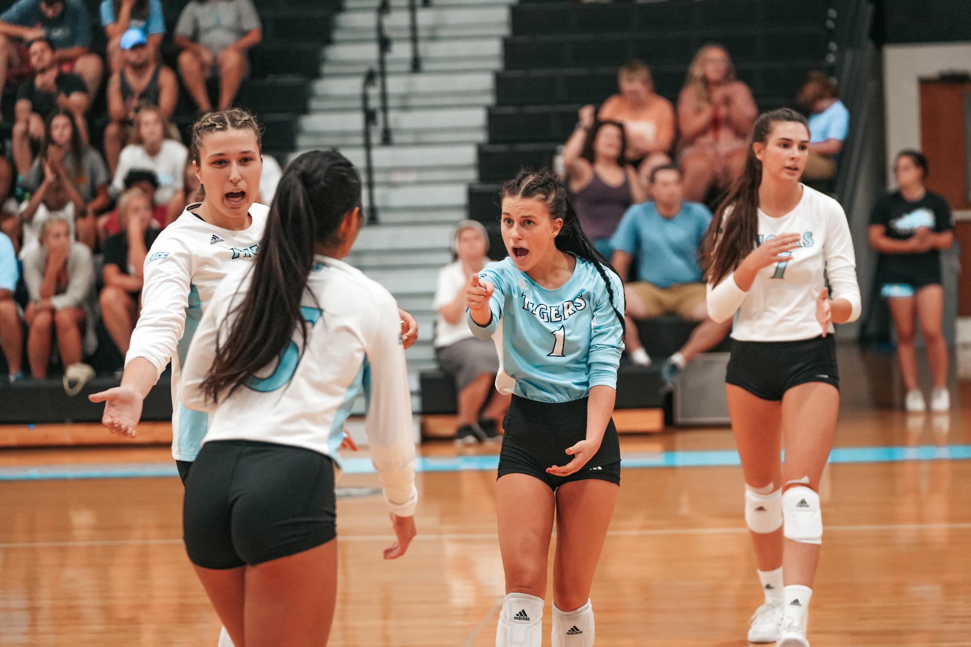 Faith Zehnder - Women's Volleyball - Holy Family University Athletics