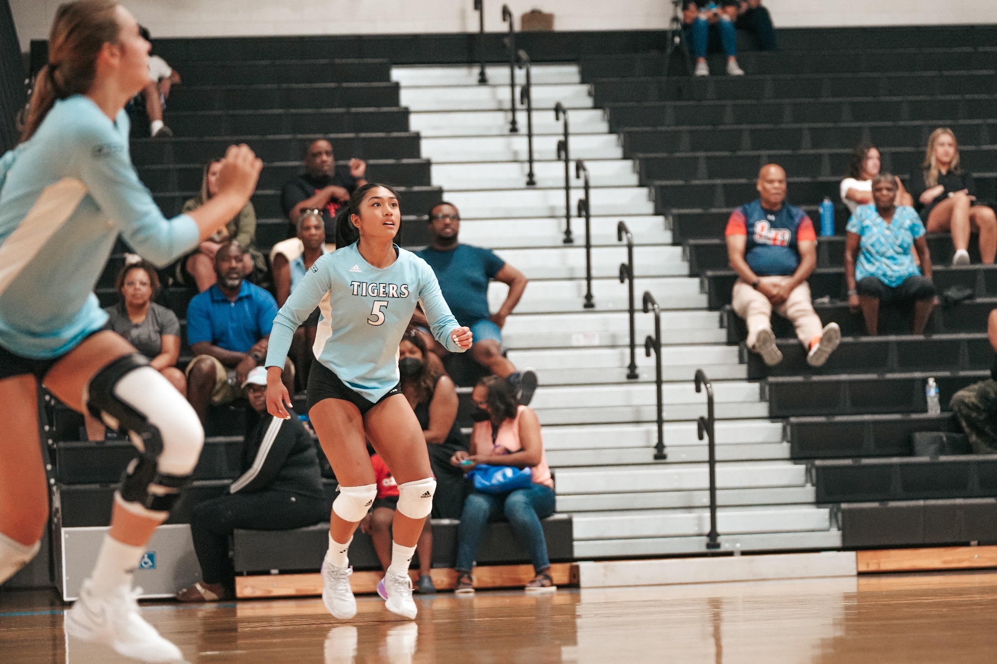 Volleyball Plays Final Non-Conference Road Match at SCSU - Holy Family University Athletics