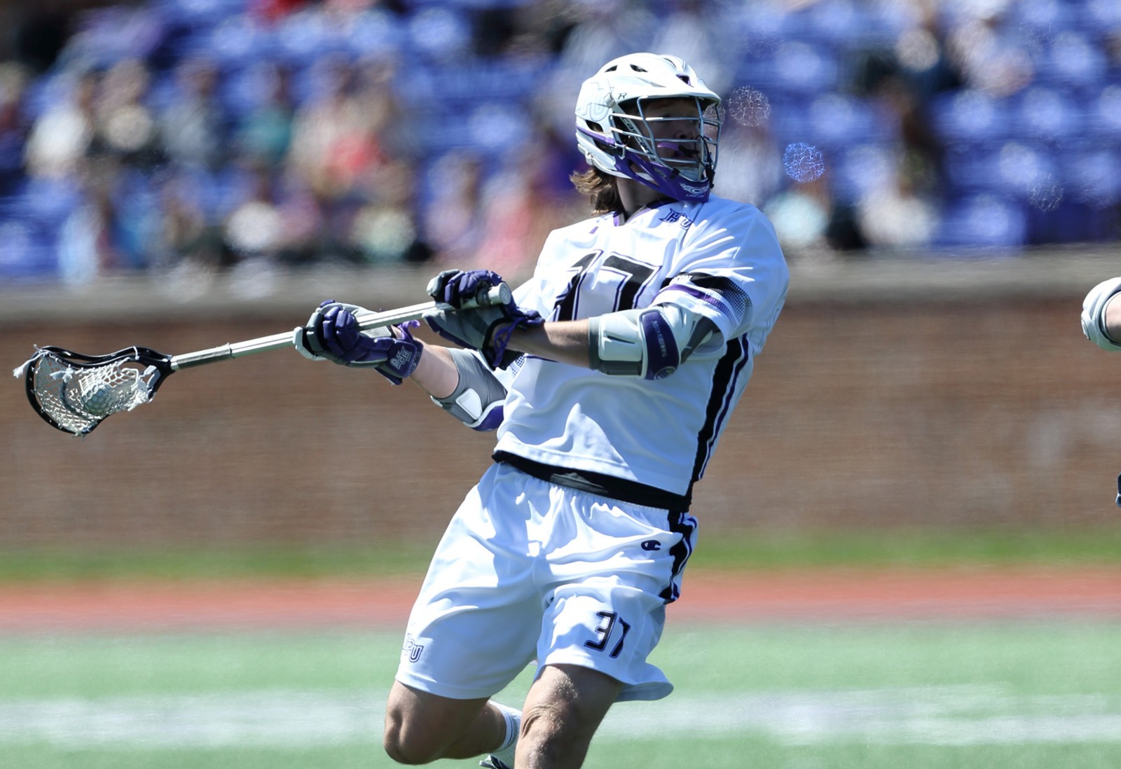 Sean Harrison - 2017 - Men's Lacrosse - High Point University Athletics