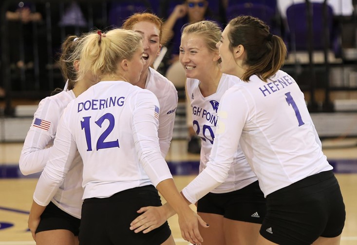 Haley Barnes - 2017 - Volleyball - High Point University Athletics