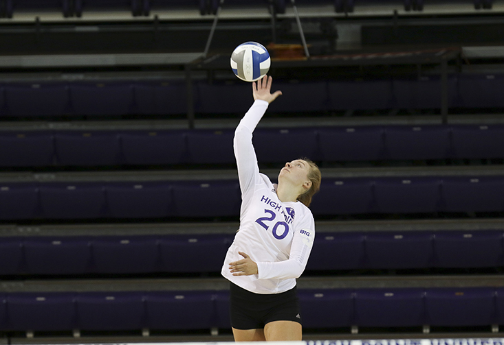 Haley Barnes - 2017 - Volleyball - High Point University Athletics