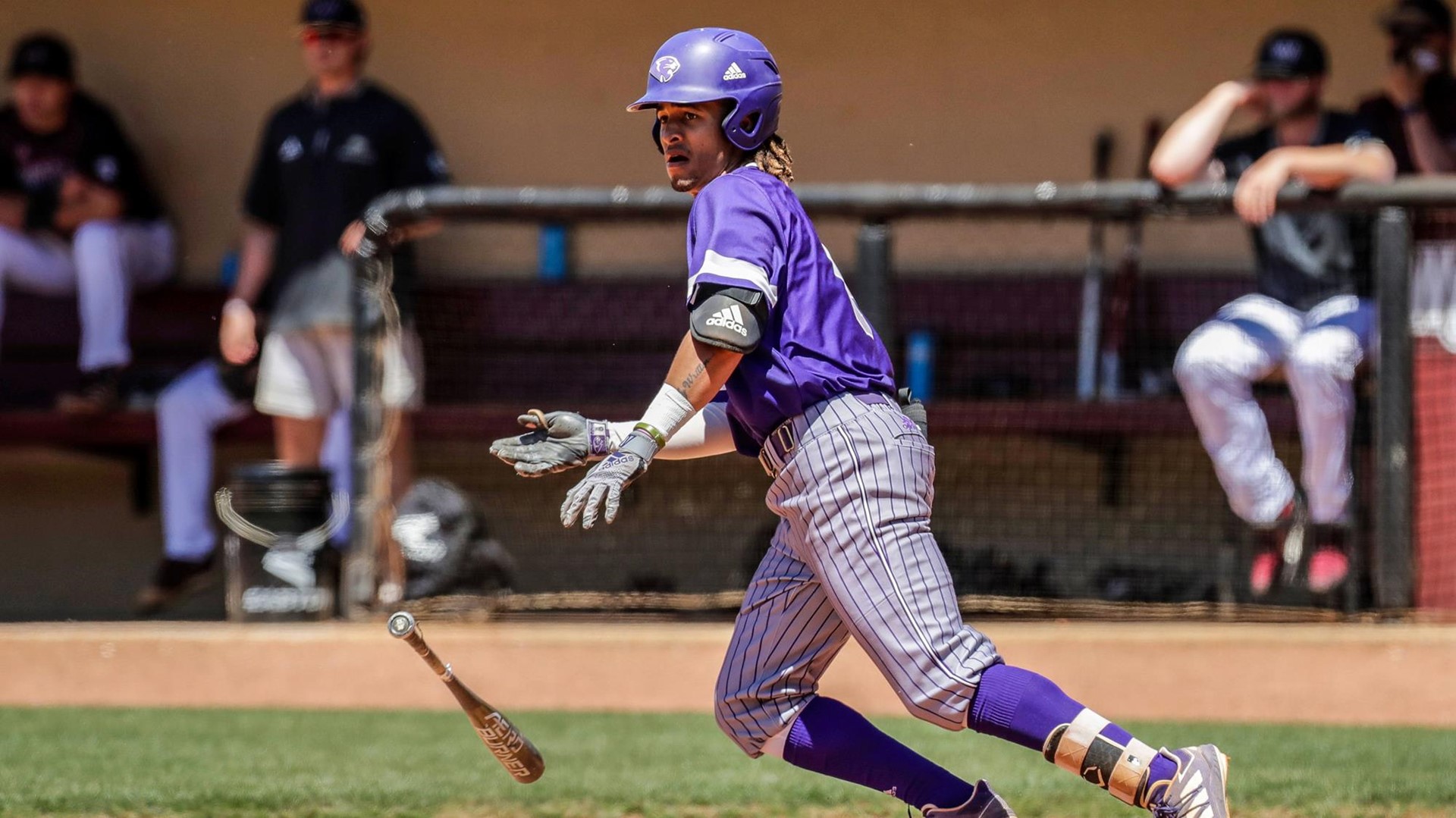 Travis Holt - 2021 - Baseball - High Point University Athletics