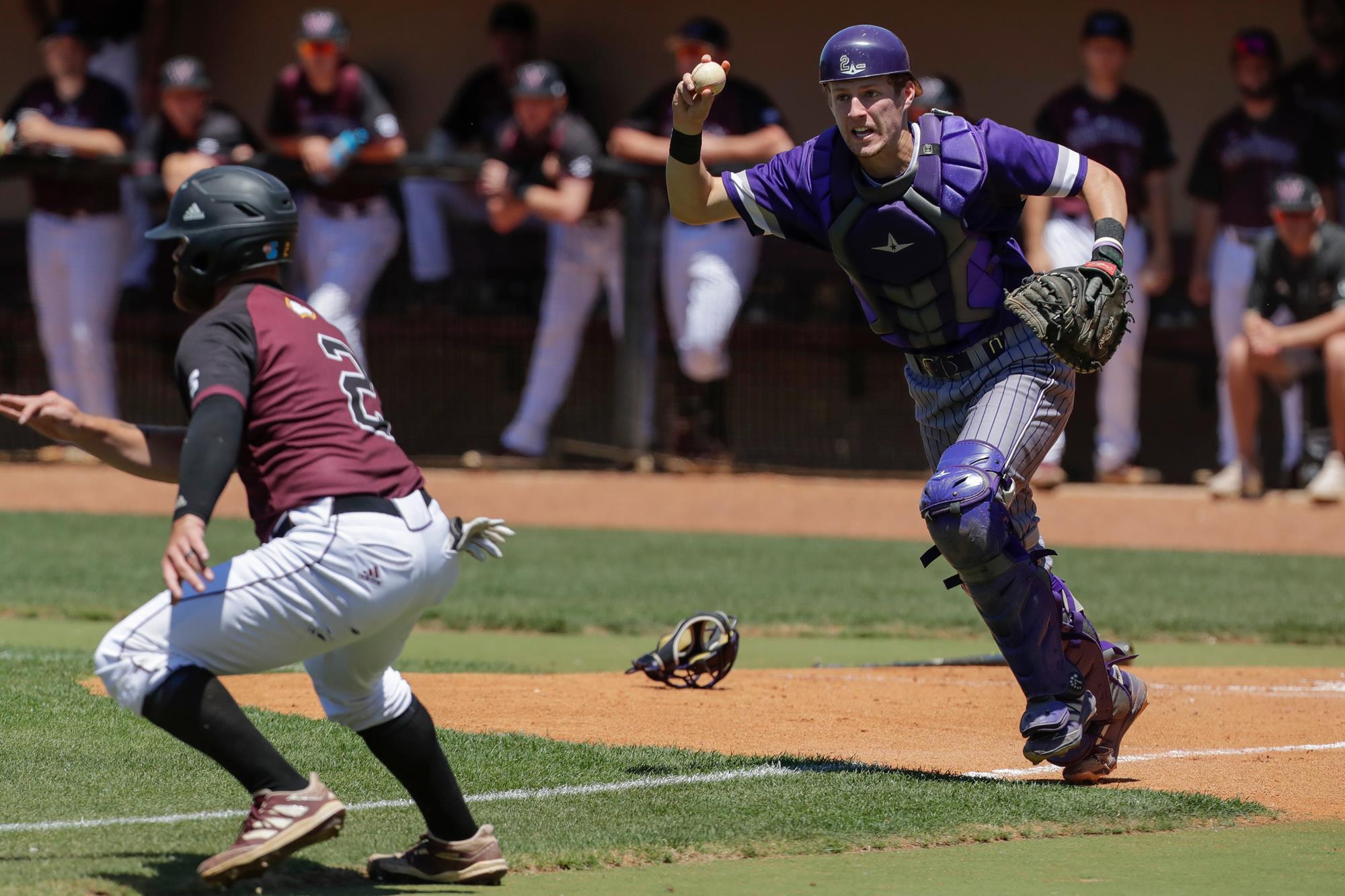 Panthers Open Season with Weekend Series at Jacksonville - High Point ...