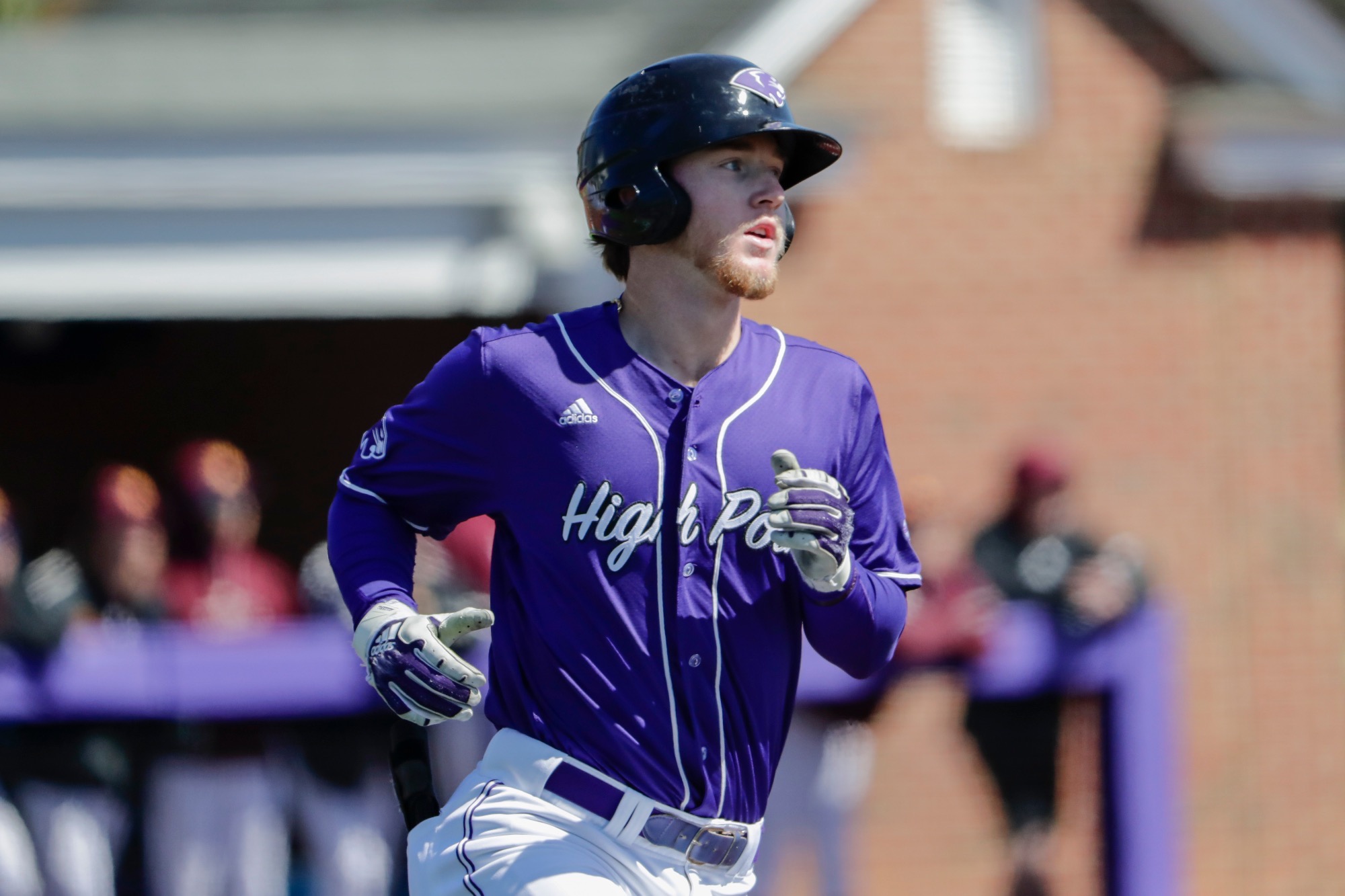 High Point Sweeps Opening Weekend Series With Bryant - High Point ...