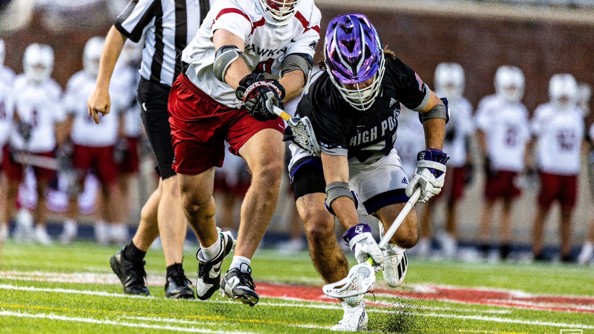 Collin Hoben - 2024 - Men's Lacrosse - High Point University Athletics