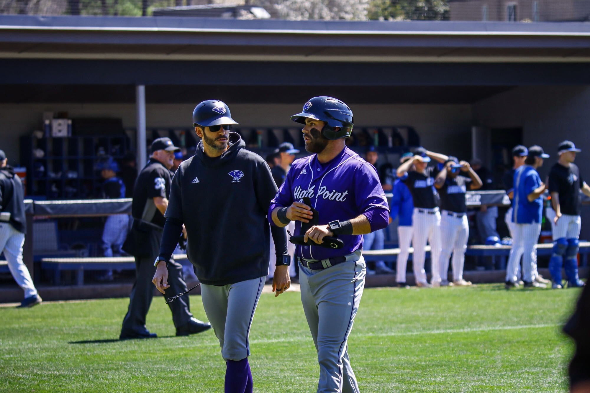 Panthers Secure Back-to-Back Series Wins - High Point University Athletics