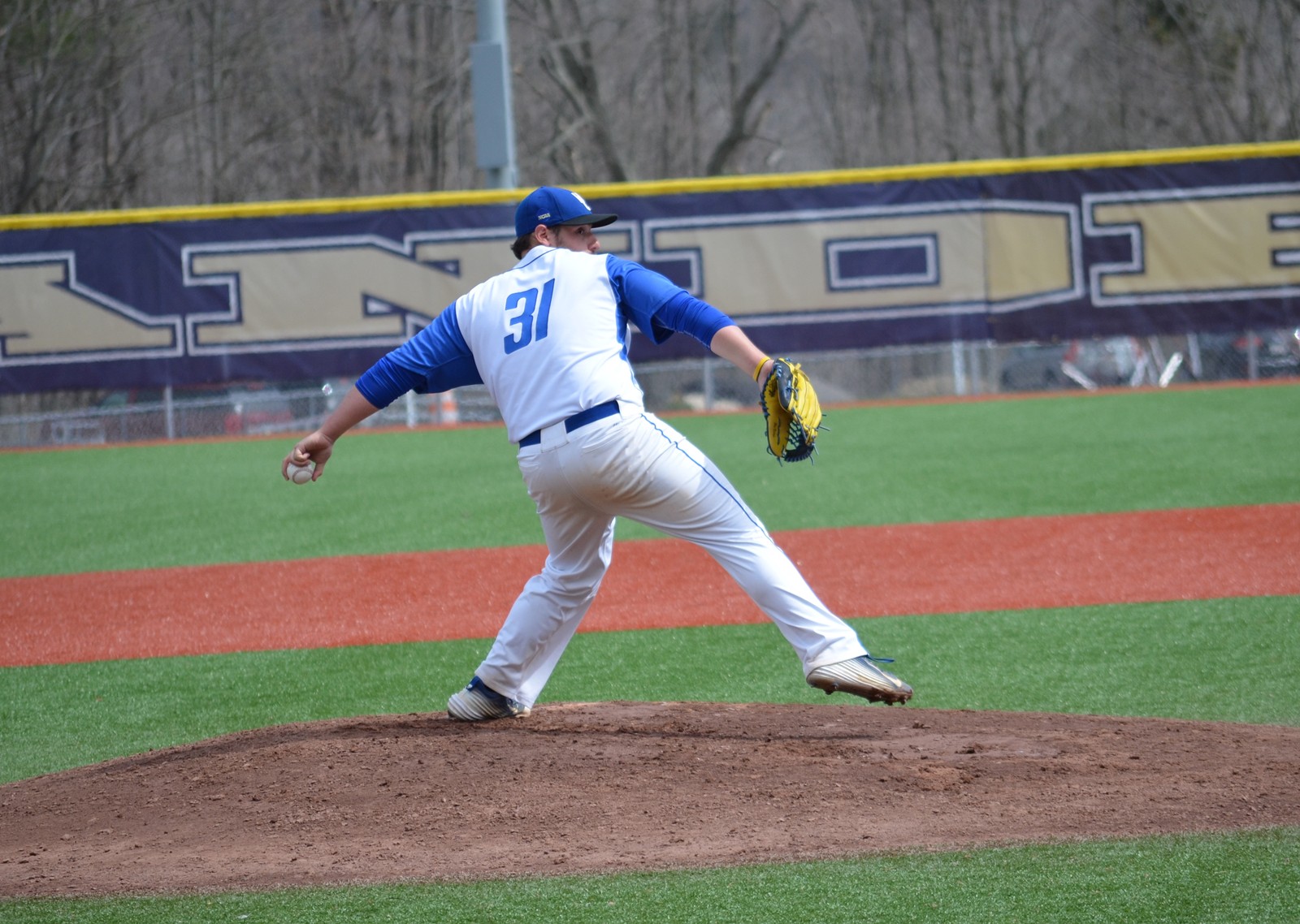 Sal Carroccia - Baseball - Hilbert College Athletics