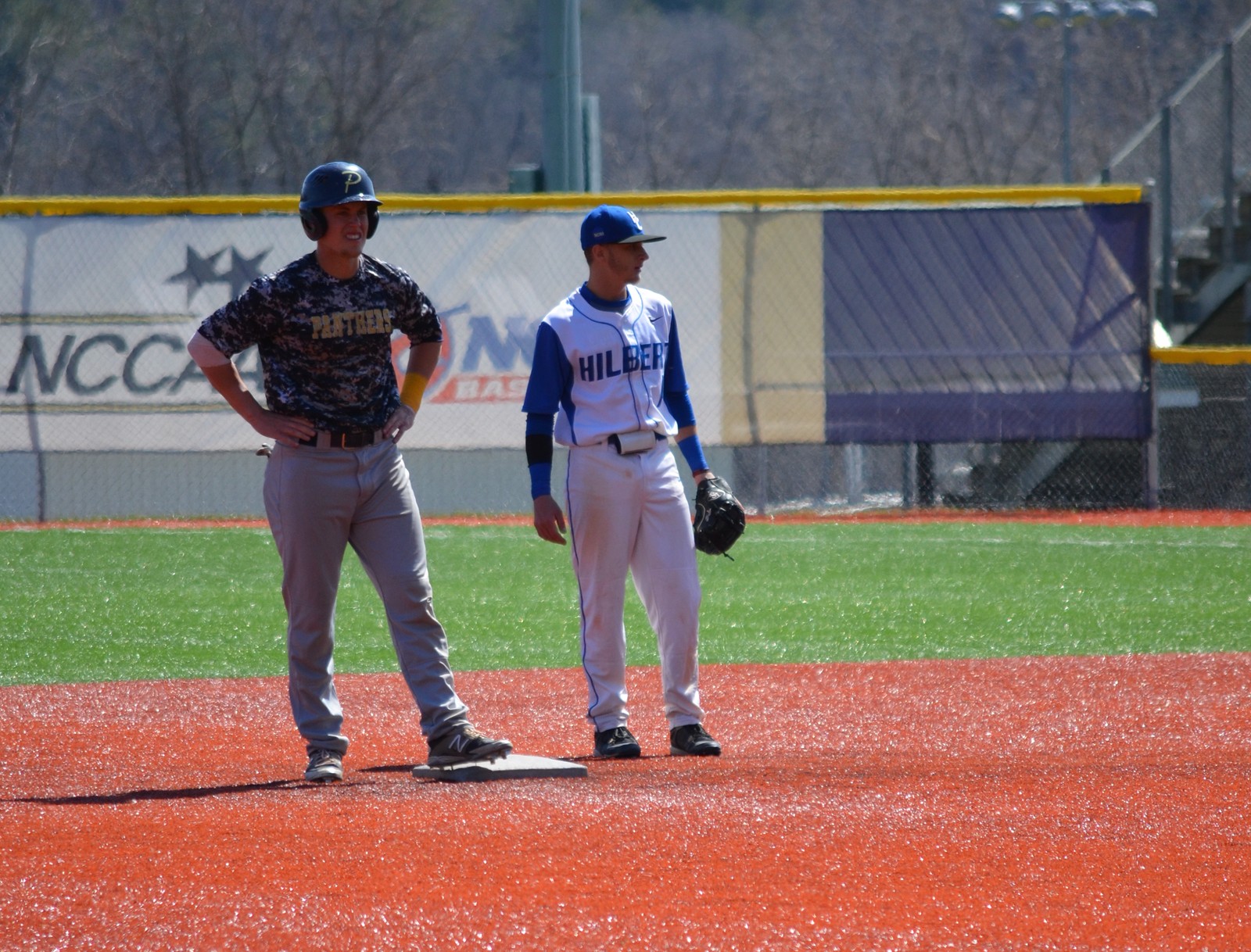 Taylor Haug - Baseball - Hilbert College Athletics