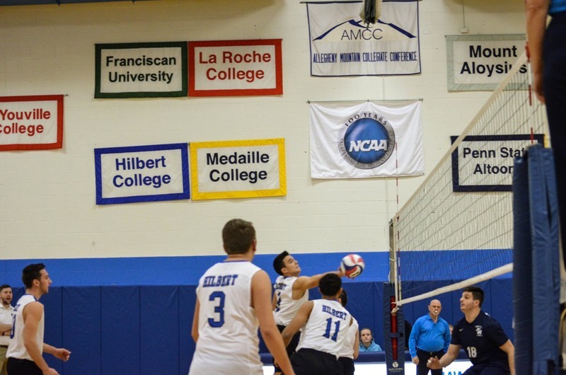 Nathaniel Hyman - Men's Volleyball - Hilbert College Athletics