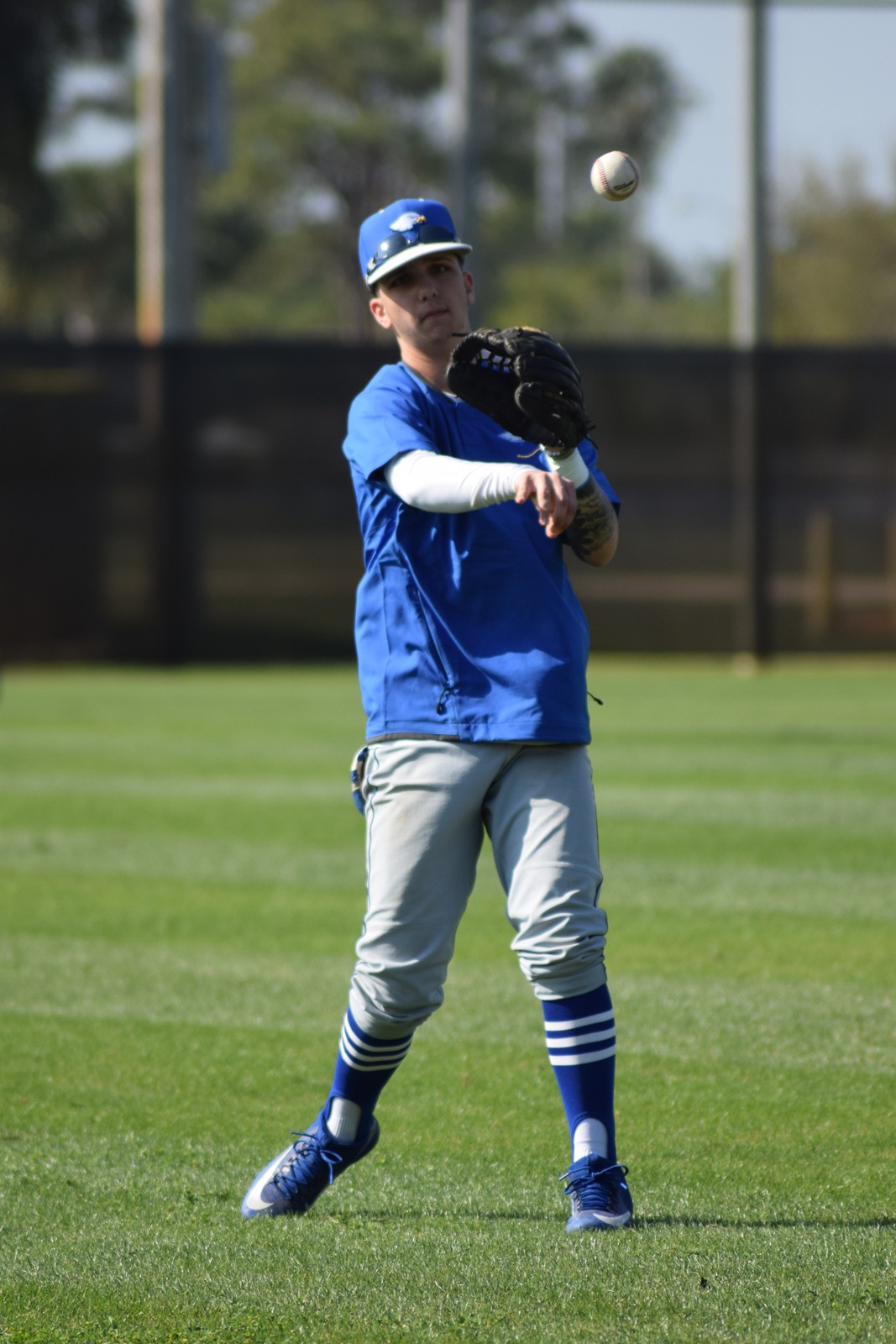 Thomas Tette - Baseball - Hilbert College Athletics