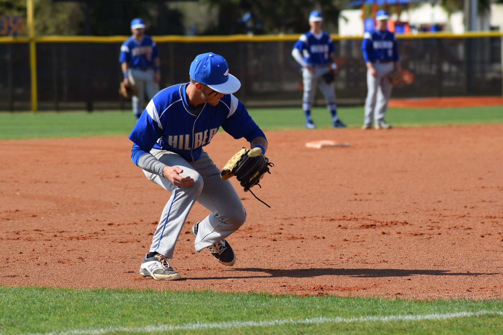 Taylor Haug - Baseball - Hilbert College Athletics