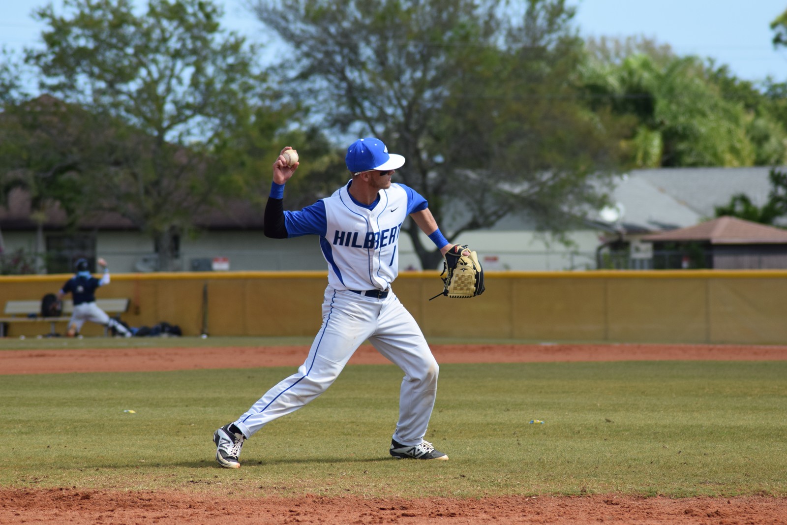 Taylor Haug - Baseball - Hilbert College Athletics