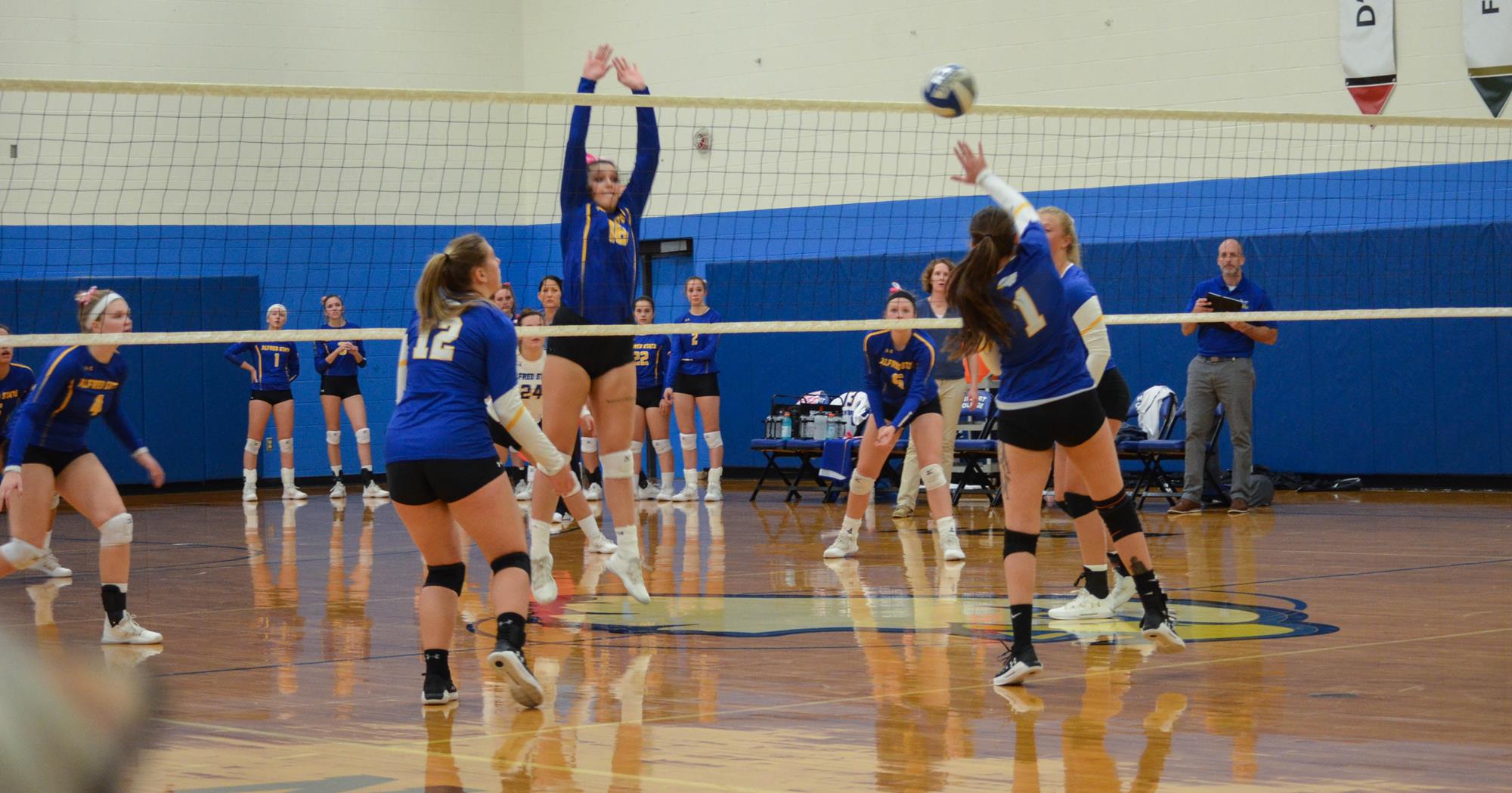 Rachel Hare - Women's Volleyball - Hilbert College Athletics