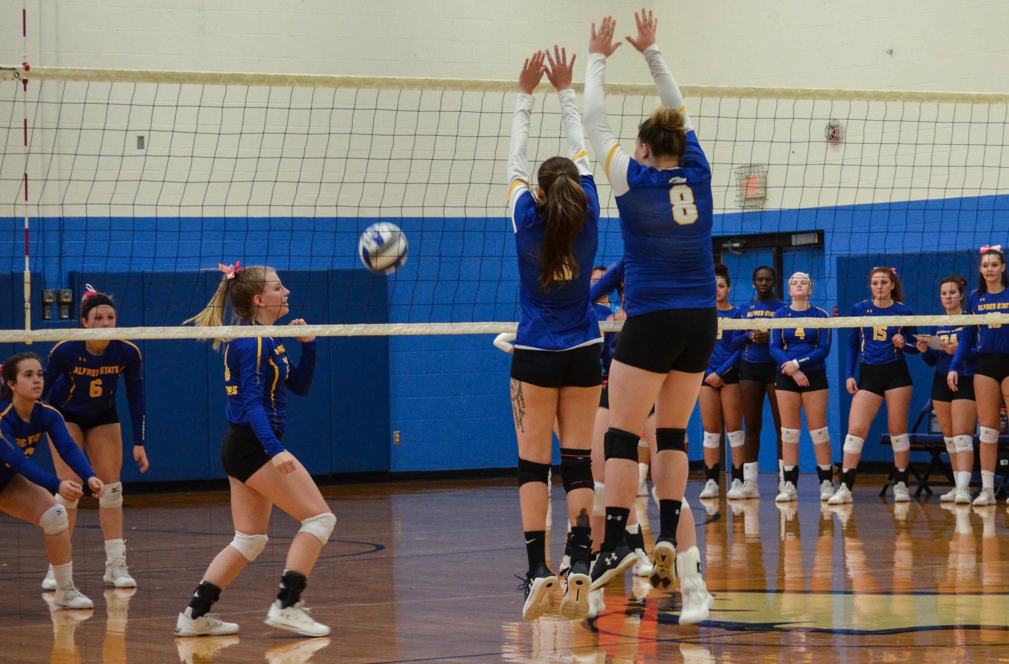 Rachel Hare - Women's Volleyball - Hilbert College Athletics