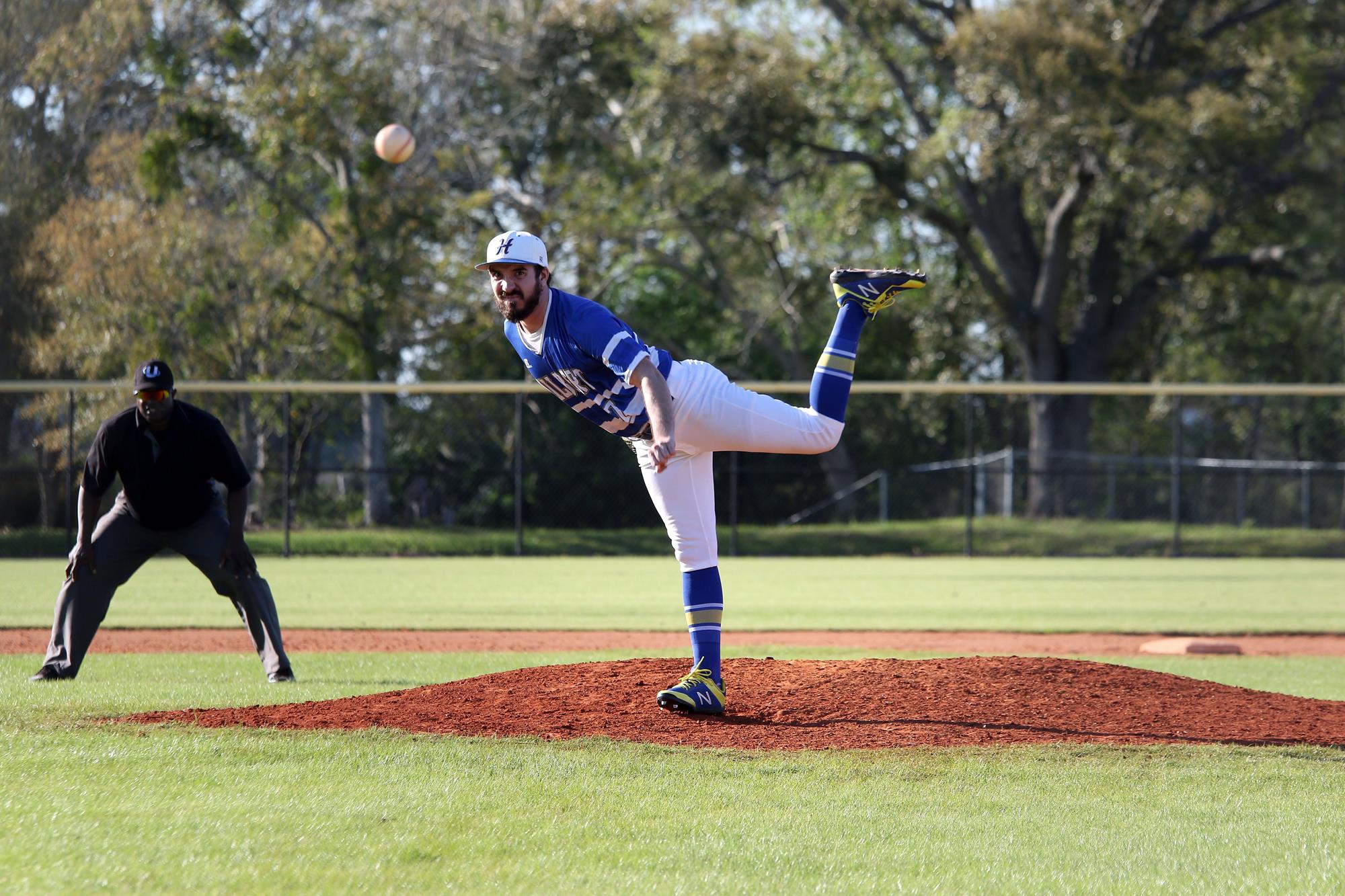 Michael Goodberry - Baseball - Hilbert College Athletics